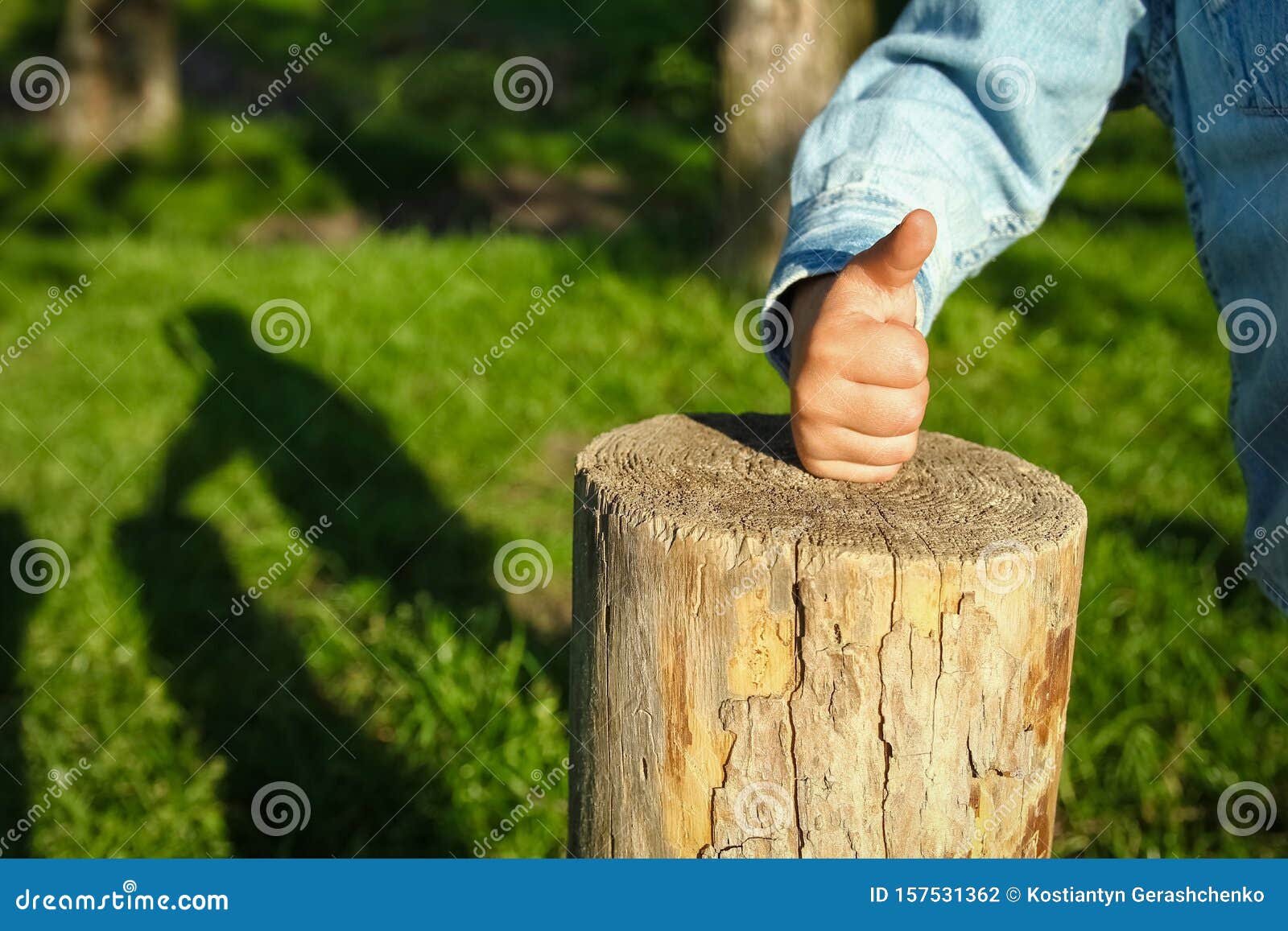 Children`s Hands Hold a Stump in the Park in Nature Stock Photo - Image ...