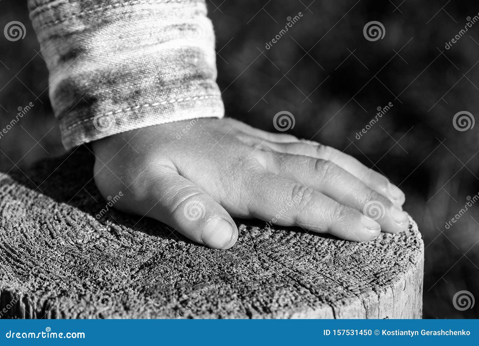 Children`s Hands Hold a Stump in the Park in Nature Stock Photo - Image ...