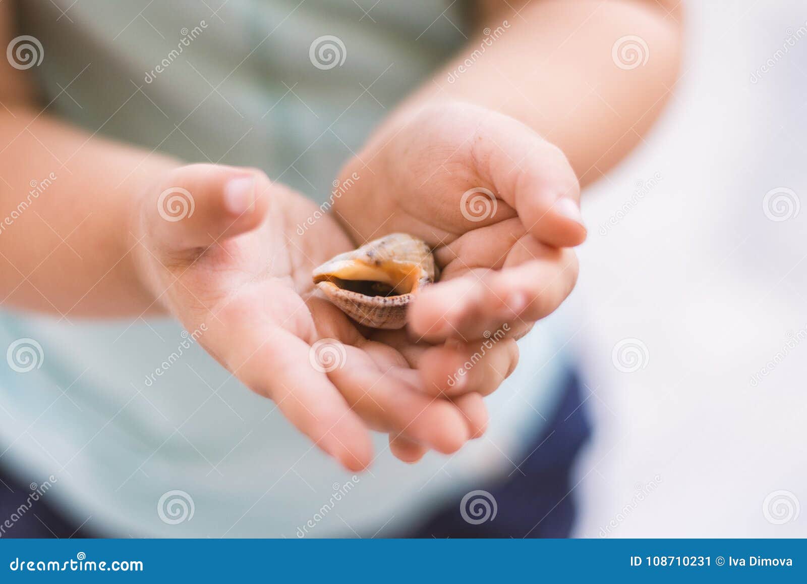Children`s Hands Holding Seashell Stock Image - Image of holding ...