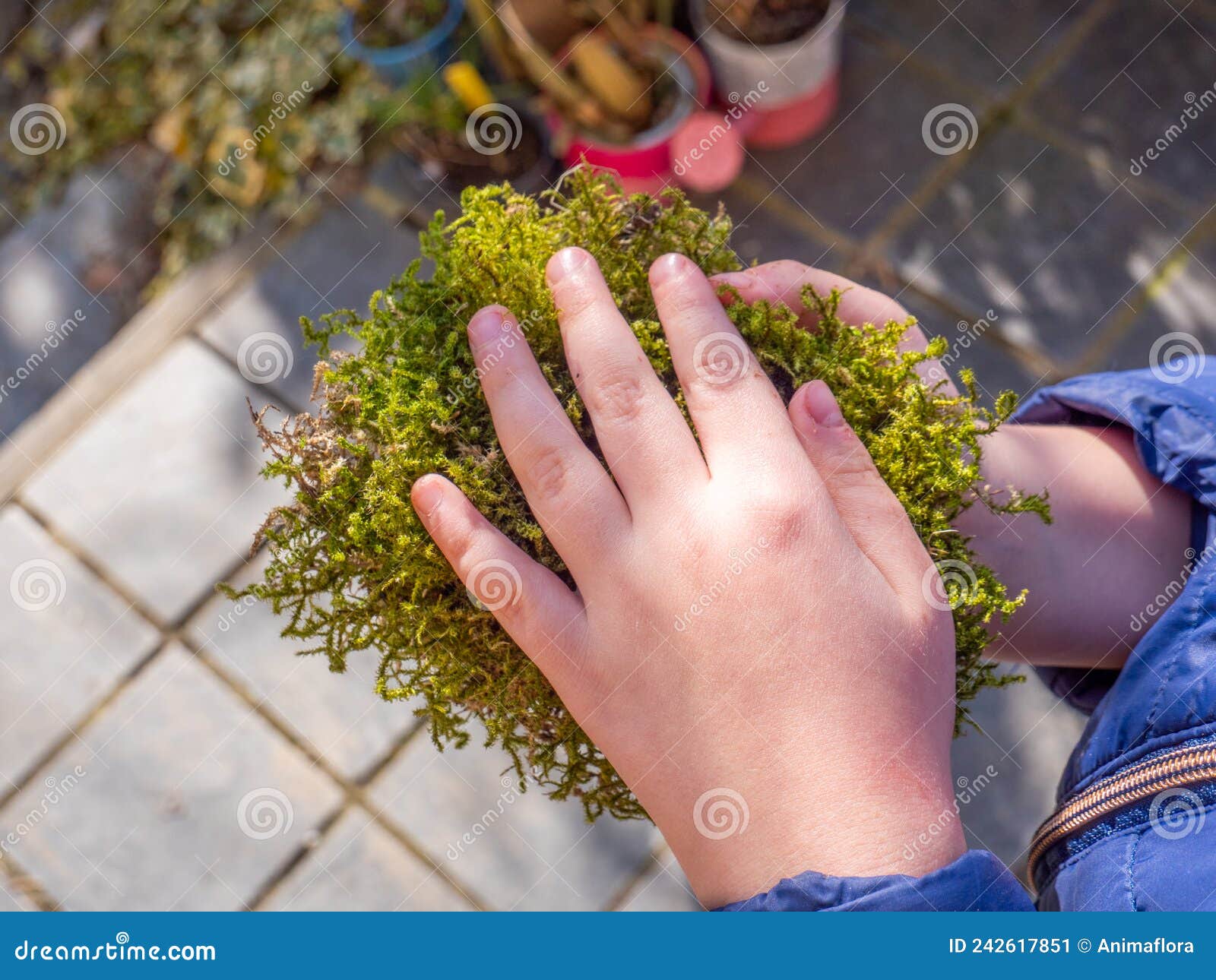Children`s Hands with Moss Shape the Future Stock Image - Image of ...