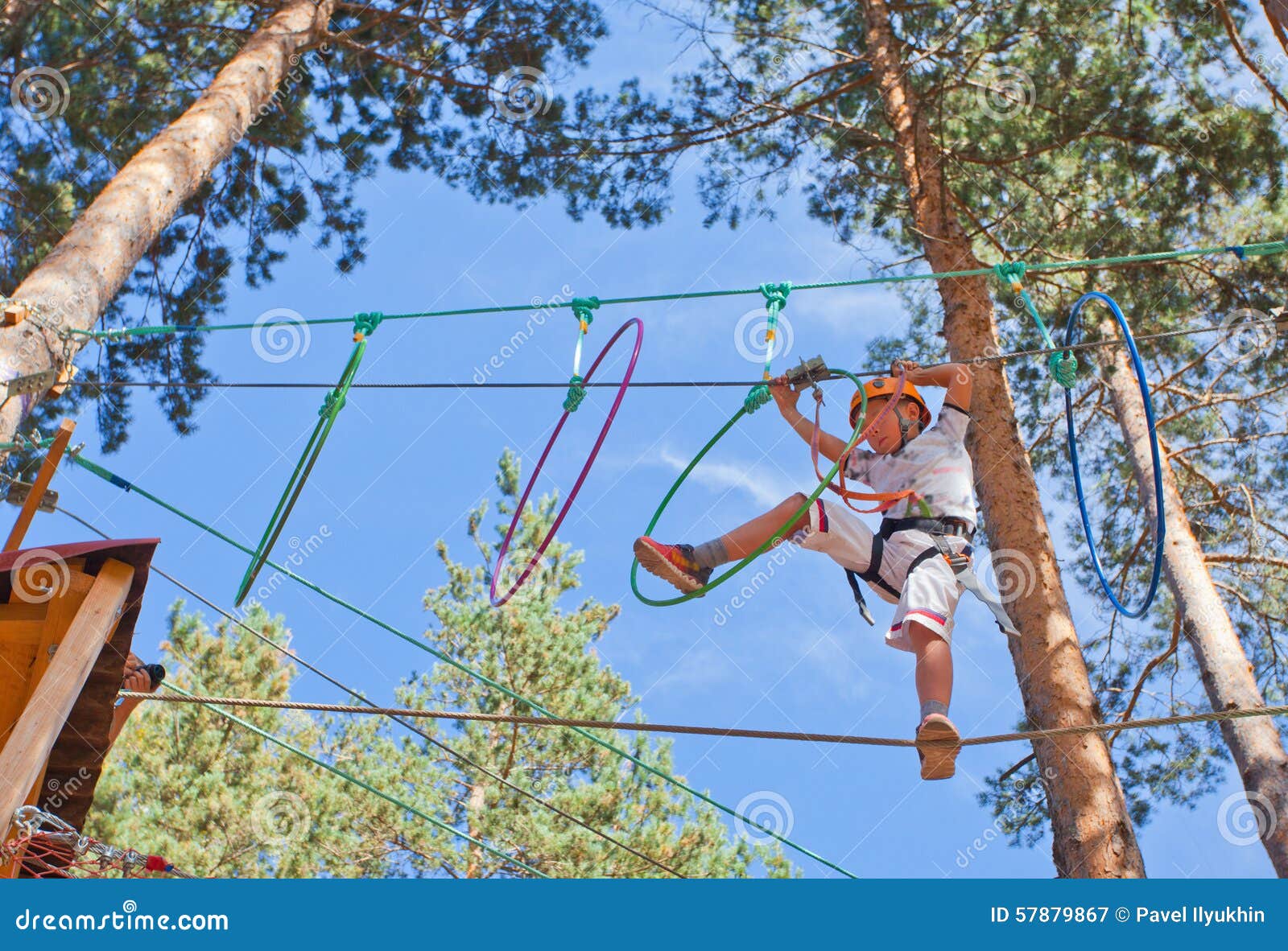 Children s rope park. editorial photography. Image of forest - 57879867