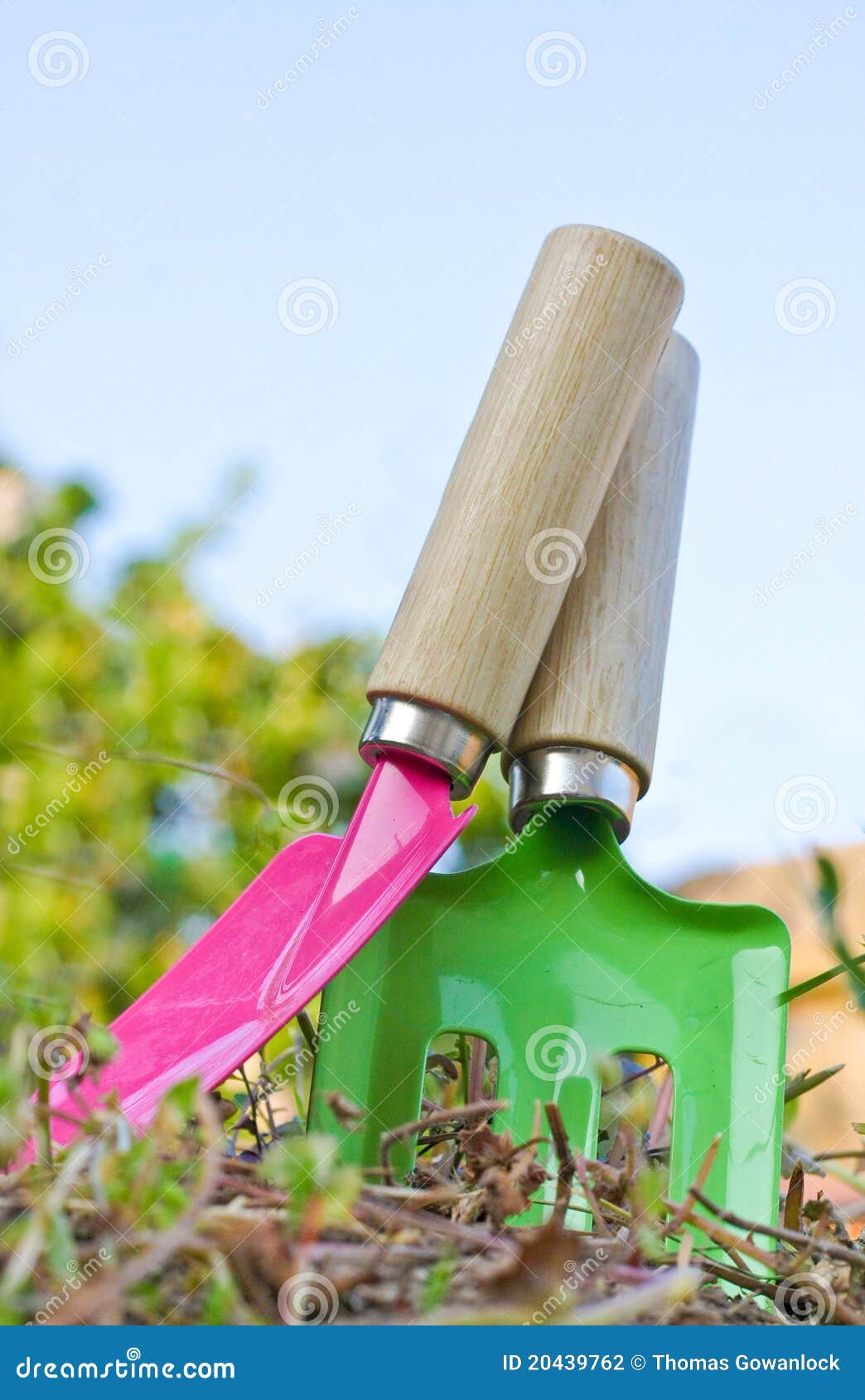 Children S Spade and Trowel Stock Photo - Image of childhood, hardware ...