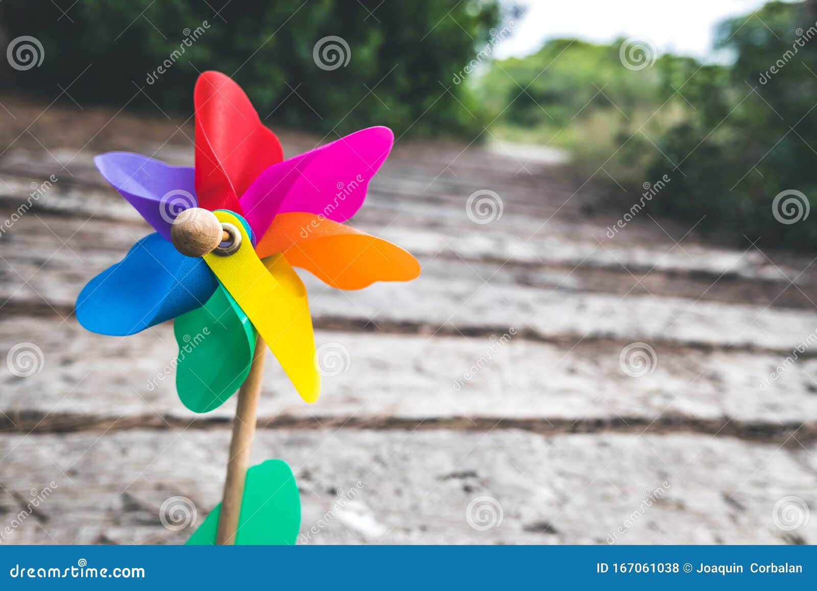 Children`s Toy Pinwheel on a Path in a Forest, Concept of Good ...