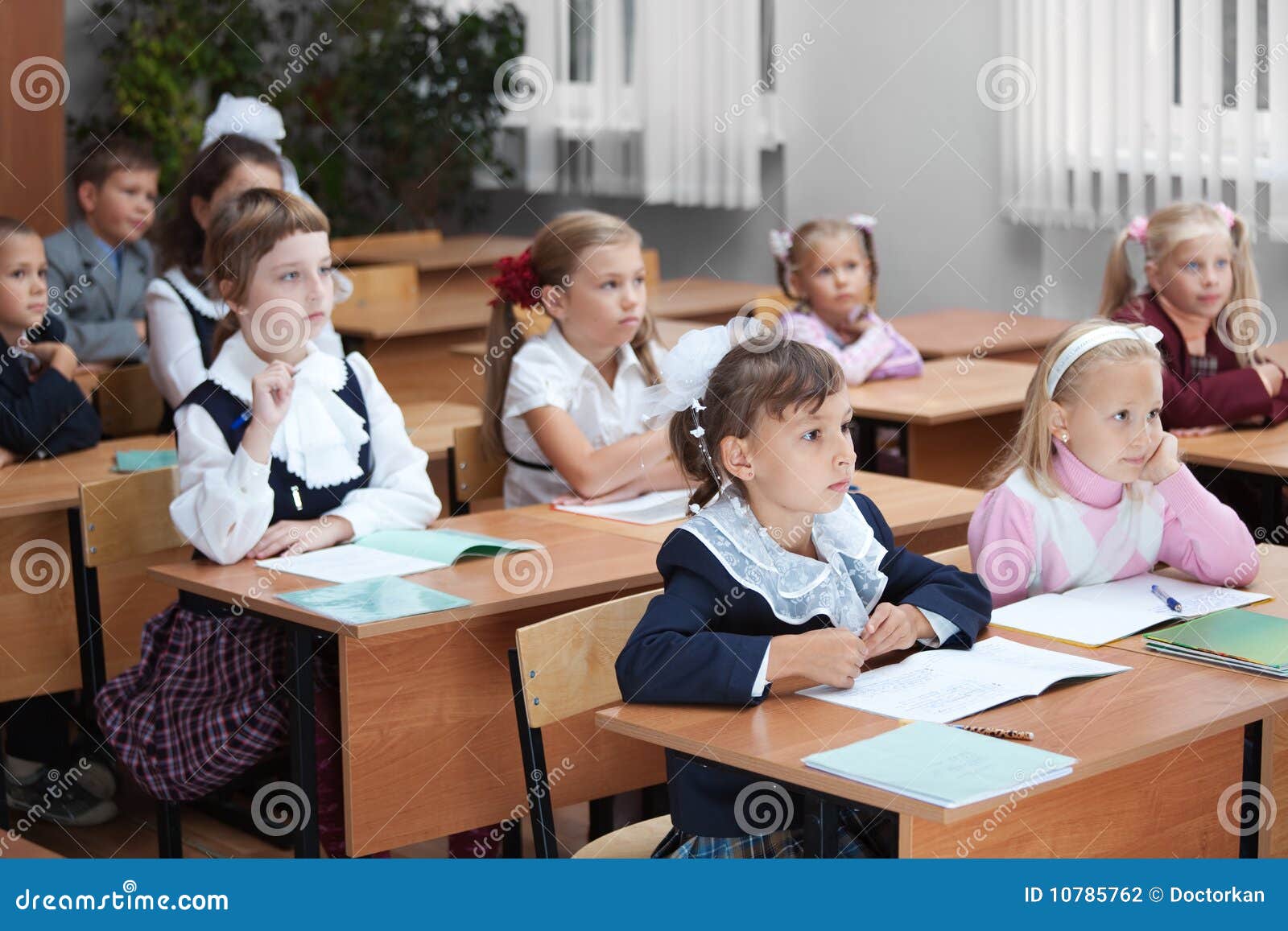 Children at school stock photo. Image of life, lecture - 10785762