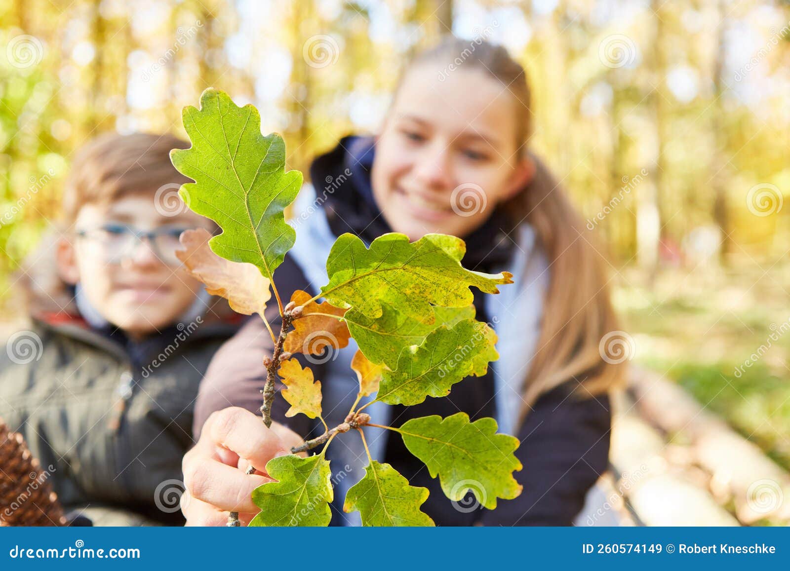 Children of a School Class with an Oak Leaf at Tree Research Stock ...