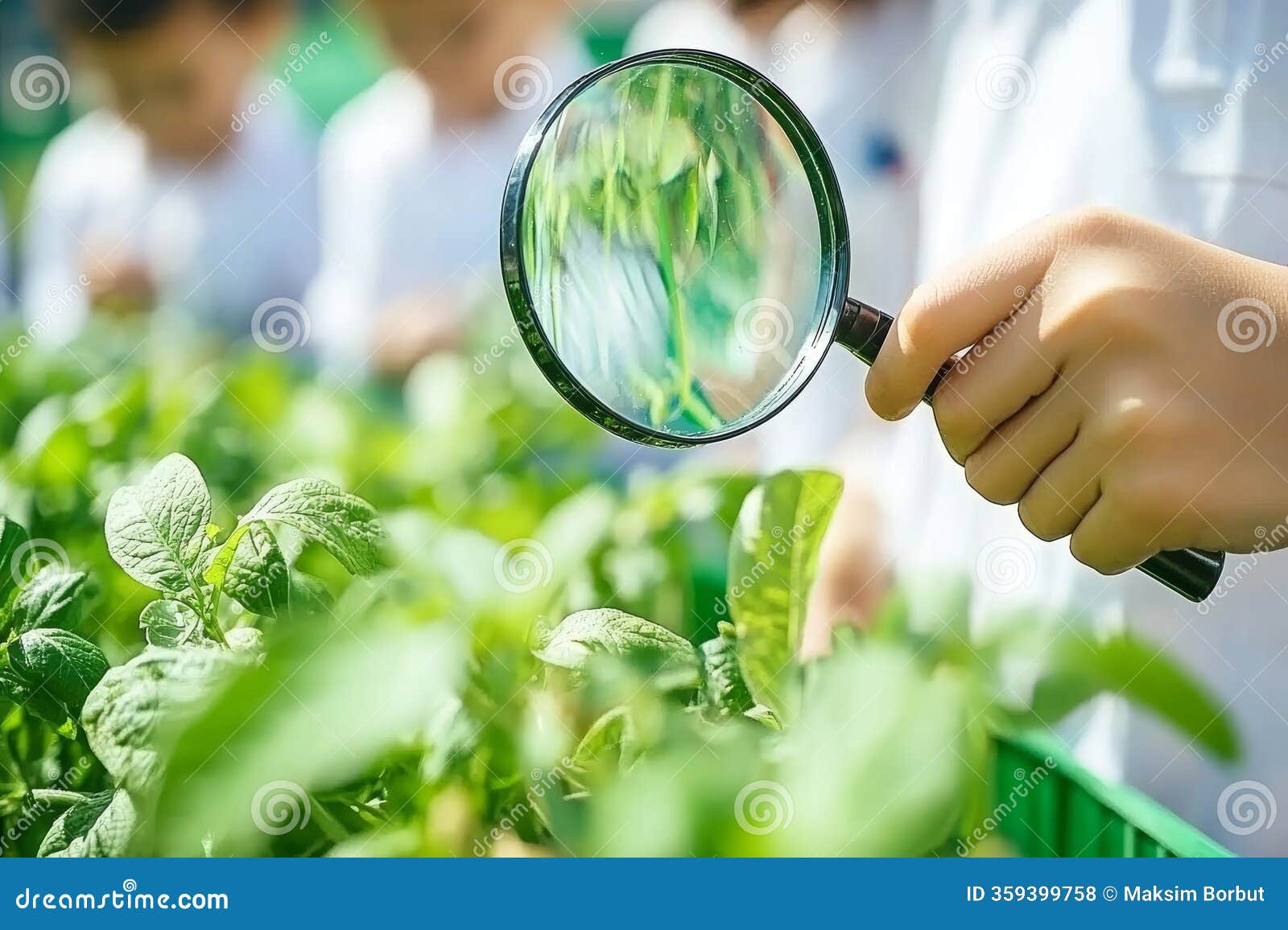 Children from a School, Exploring Nature with Their Instructor ...