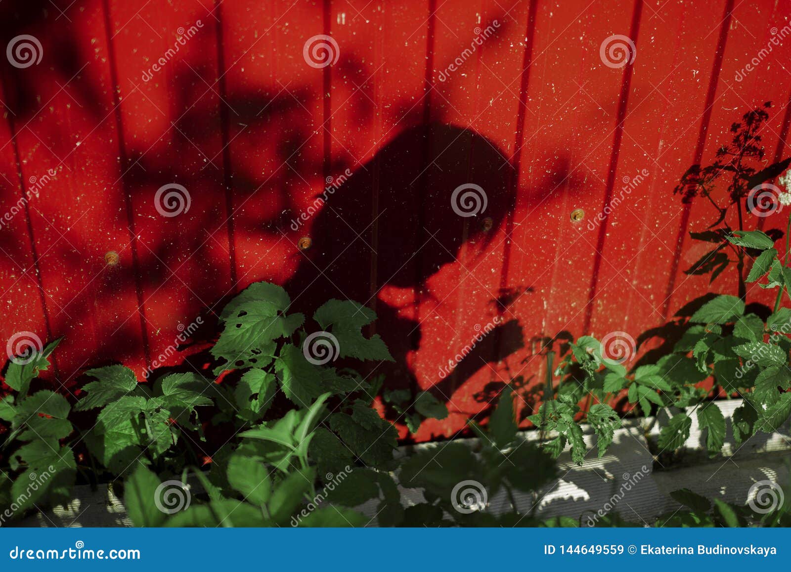 Children Shadow on the Wall Stock Image - Image of country ...