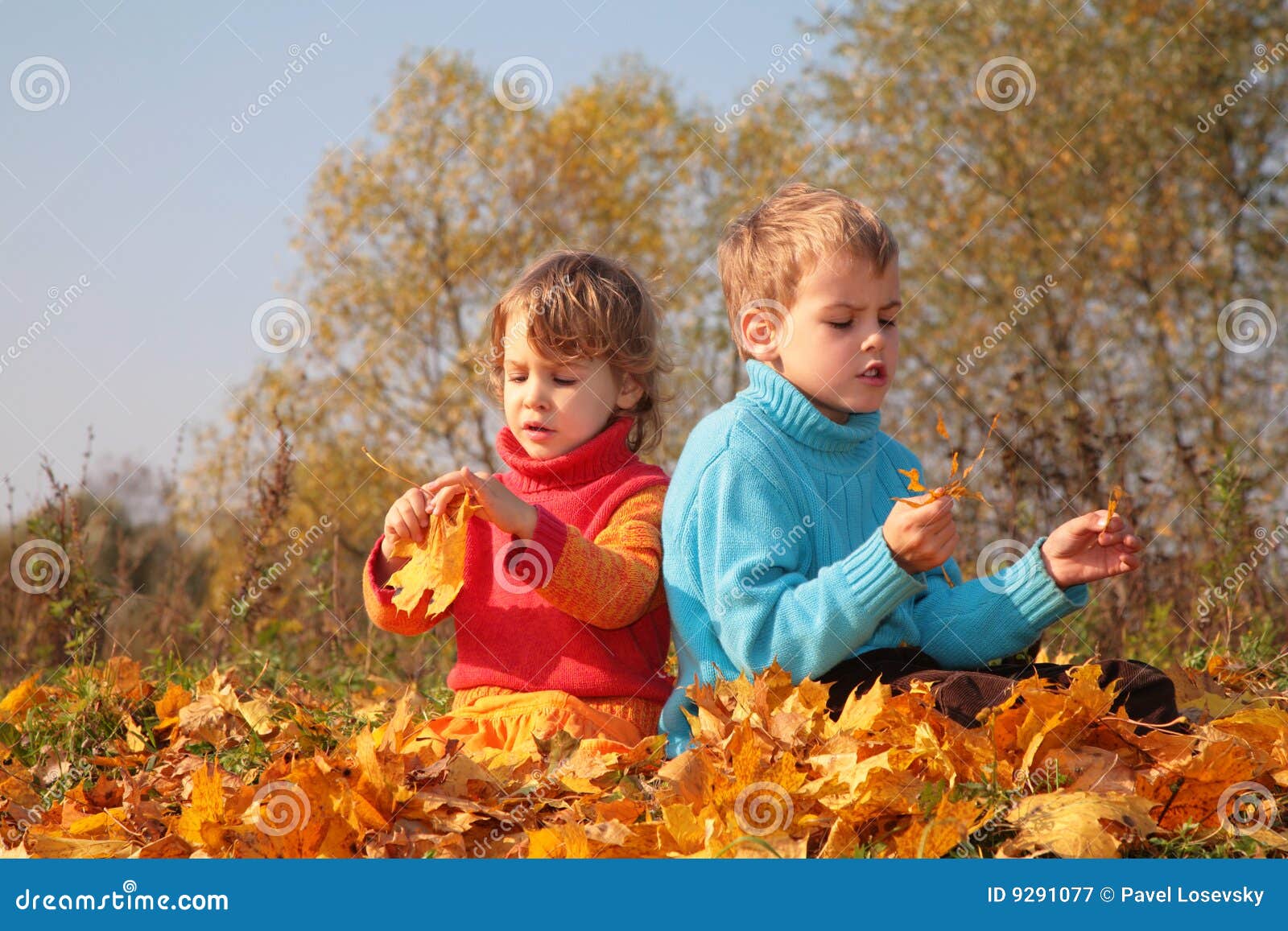 Children Sit on Fallen Maple Leaves Stock Image - Image of nature ...
