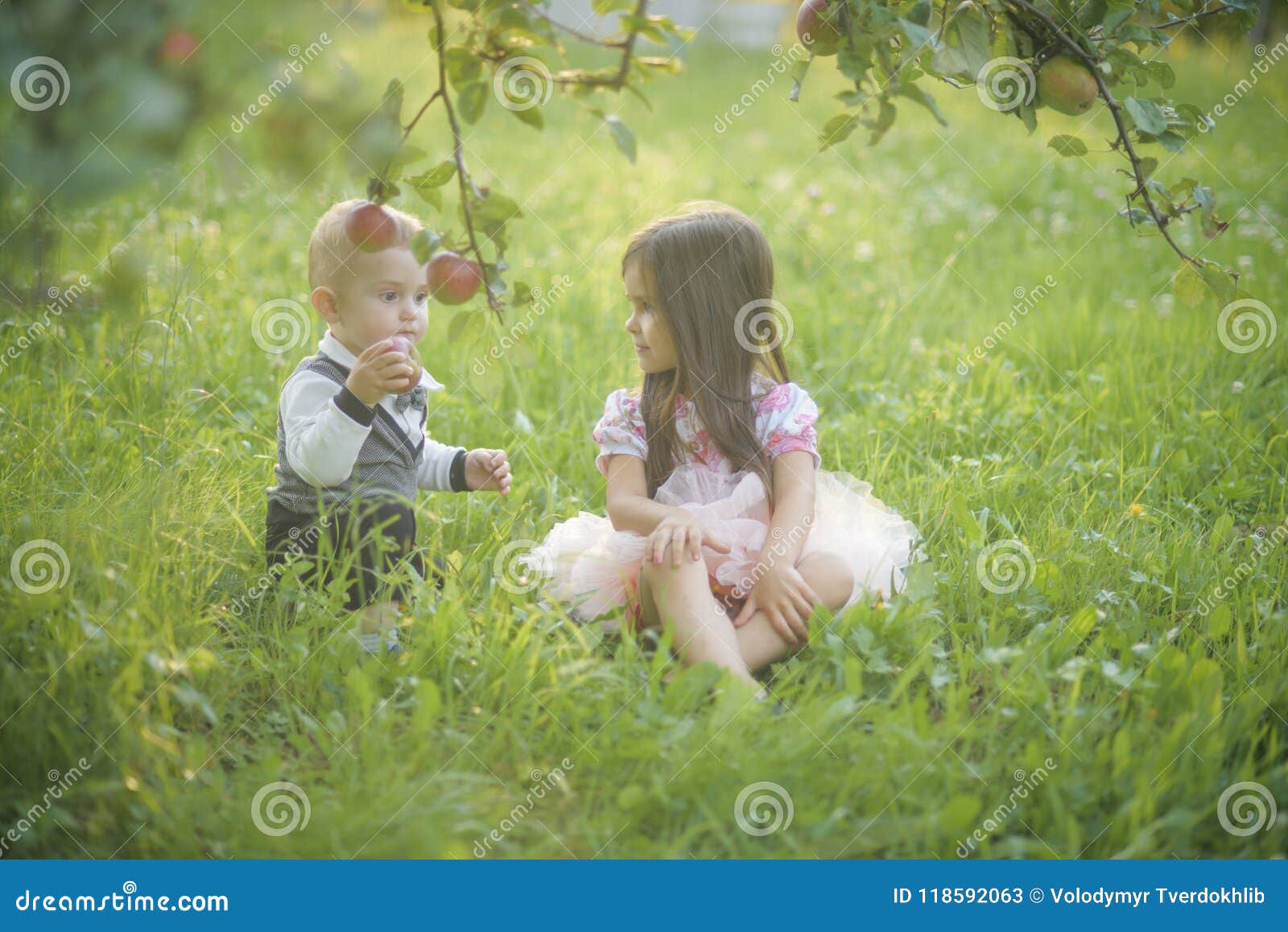 Children Sit Under Apple Tree in Summer Park Stock Image - Image of ...