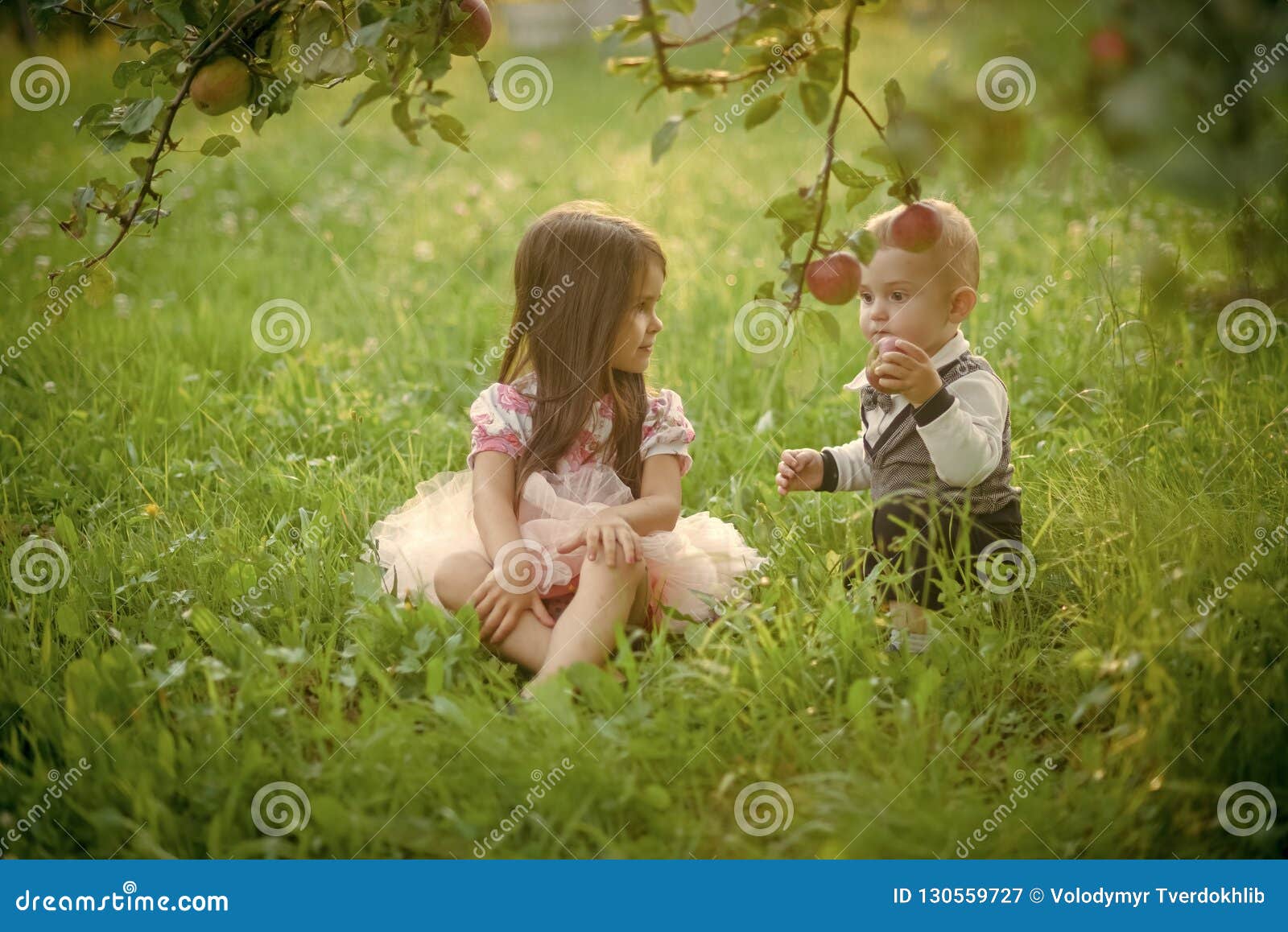 Children Sit Under Apple Tree in Summer Park Stock Image - Image of ...