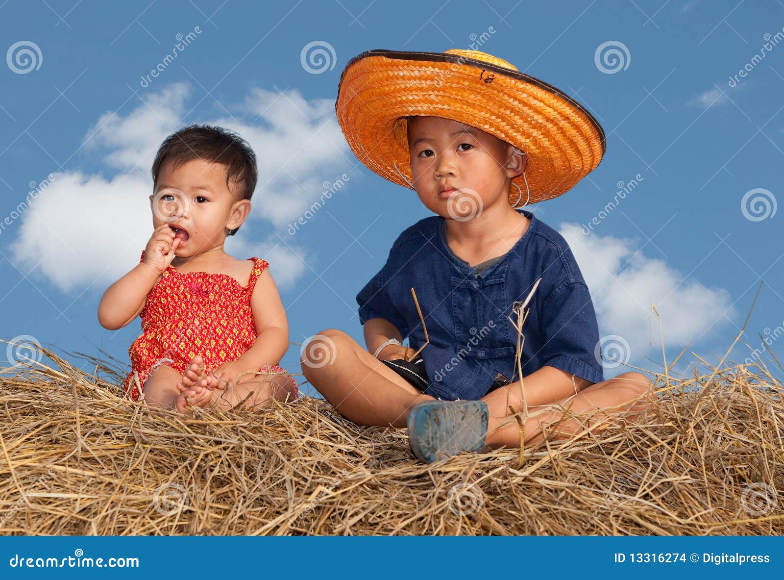 Children sitting on straw stock photo. Image of sunny - 13316274