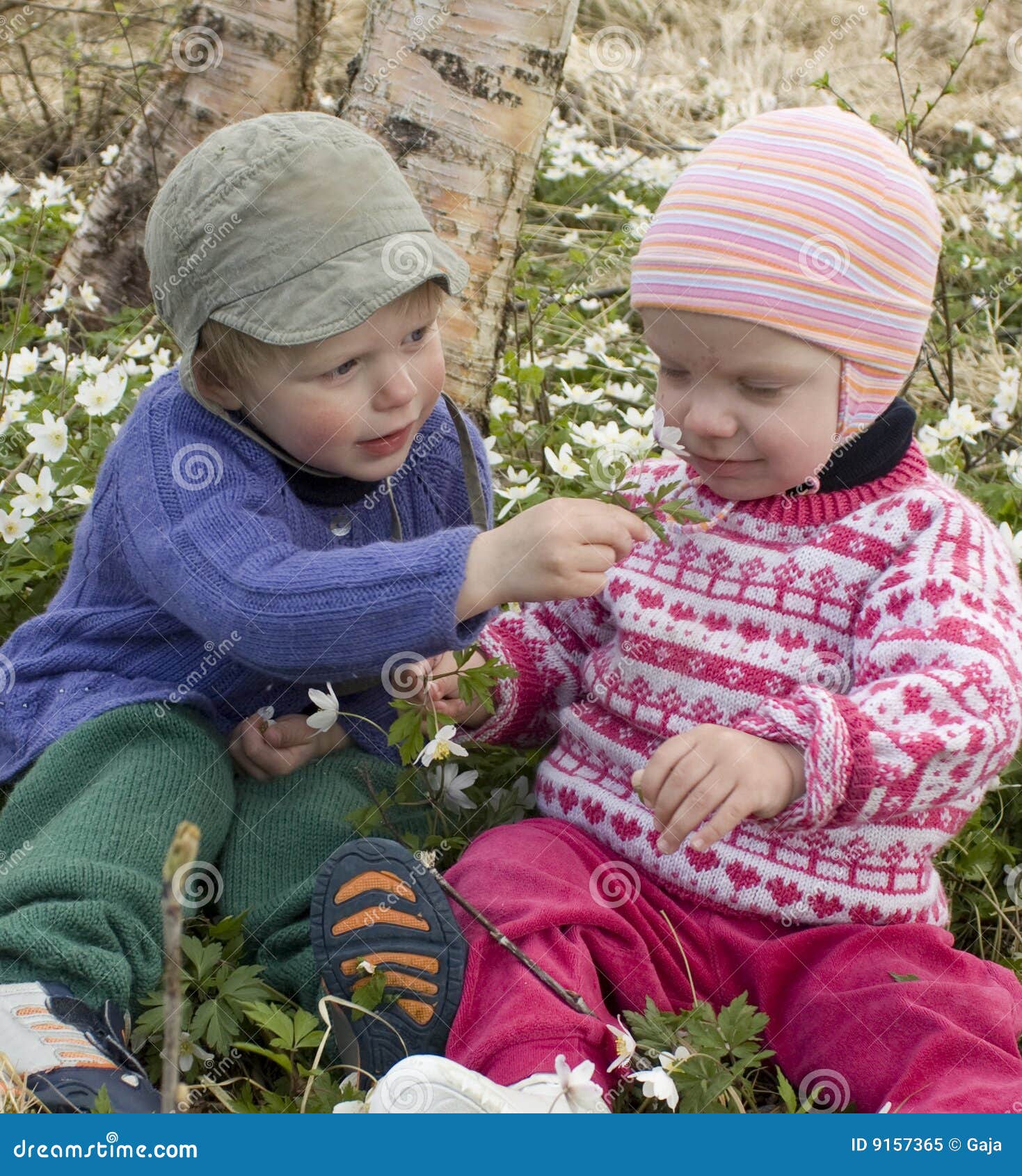 Children Smelling the Flowers Stock Image - Image of children, knitted ...