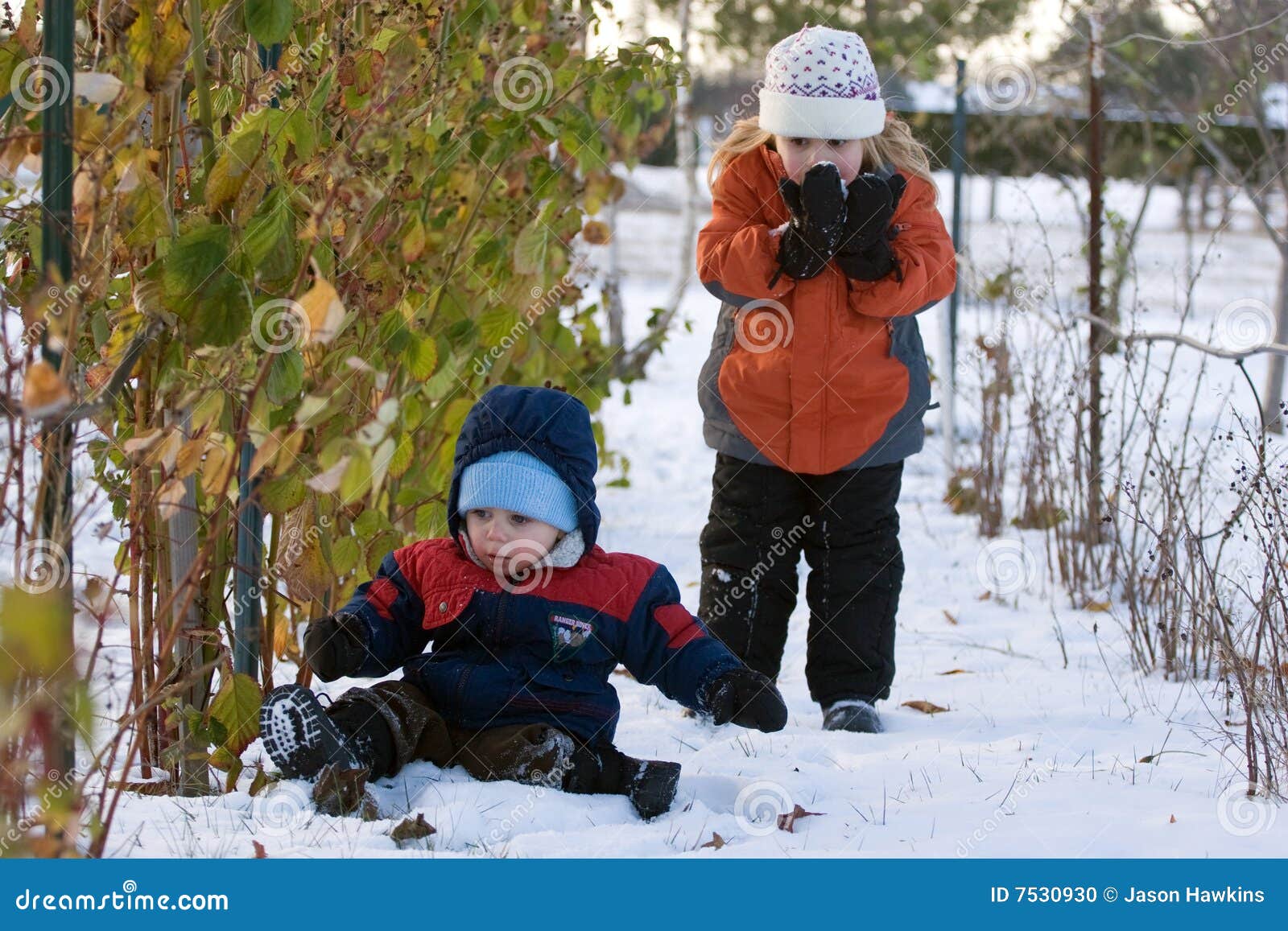 Children in snow stock photo. Image of friends, enjoying - 7530930