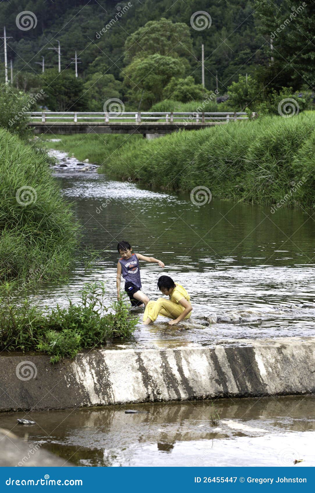 Children in the stream editorial photography. Image of outdoors - 26455447