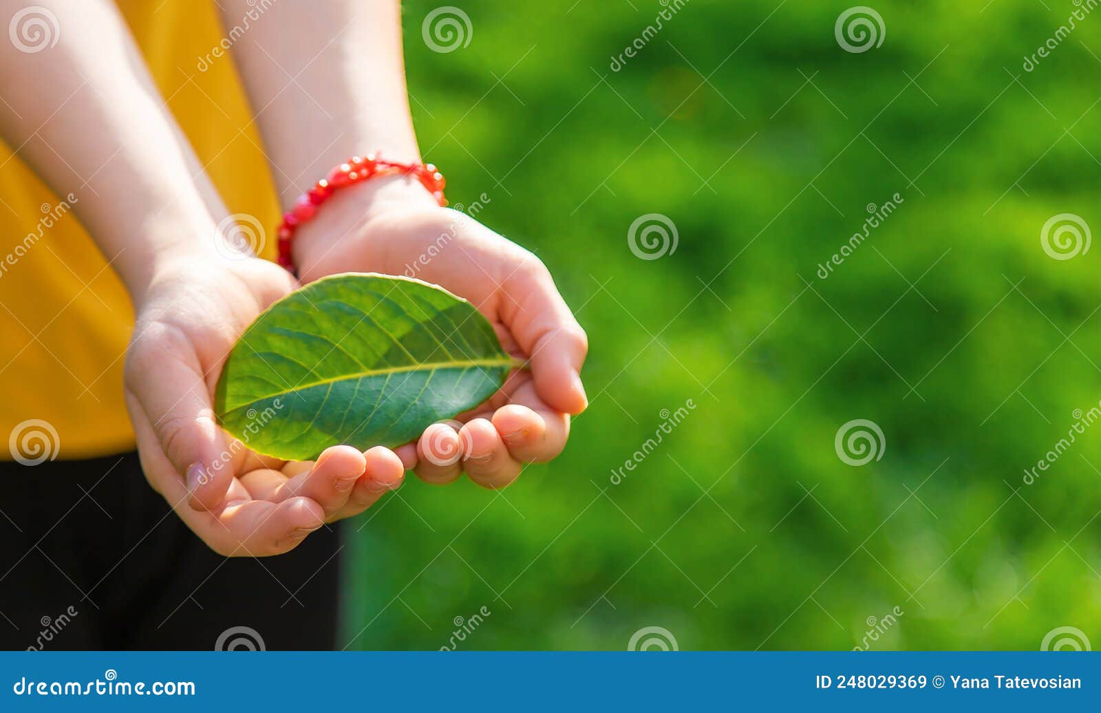 Children Take Care of Nature Tree in Their Hands. Selective Focus Stock ...