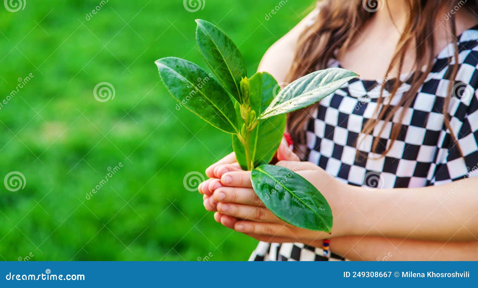 Children Take Care of Nature Tree in Their Hands. Selective Focus Stock ...