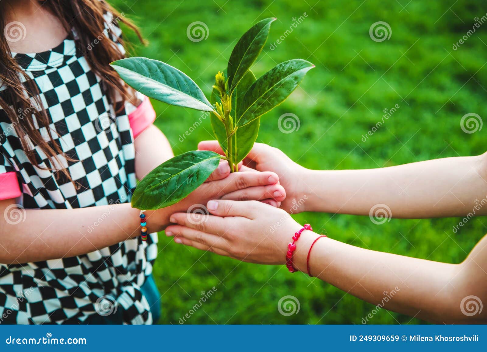 Children Take Care of Nature Tree in Their Hands. Selective Focus Stock ...