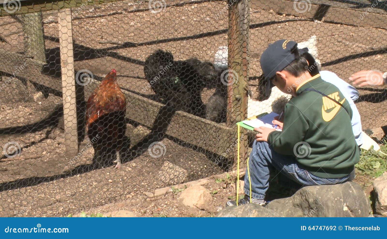 Children Taking Notes and Observing Animals (1 of 8) Stock Footage ...