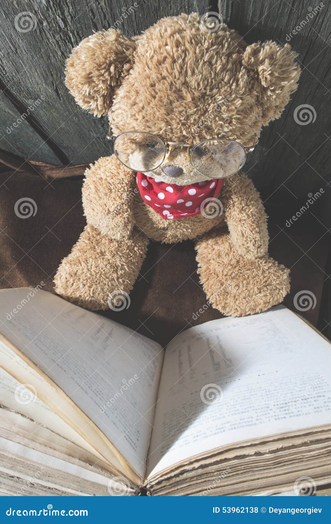 Children Teddy Bear with Book Stock Photo - Image of smile, small: 53962138