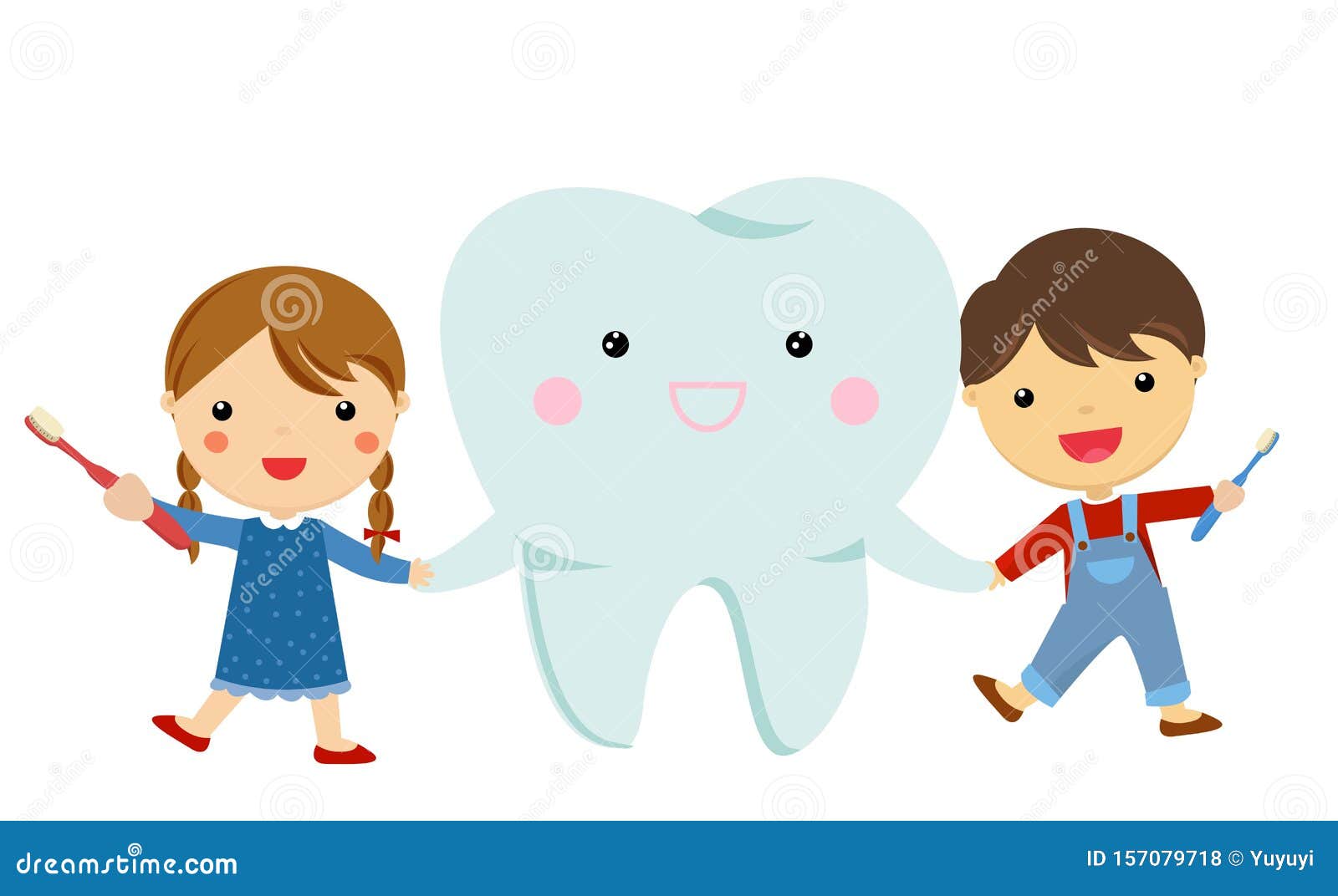 Children Teeth Anatomy Cartoon Vector | CartoonDealer.com #67533645
