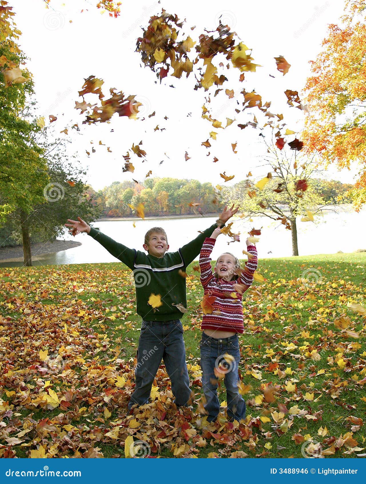 Children throwing leafs stock photo. Image of active, leisure - 3488946