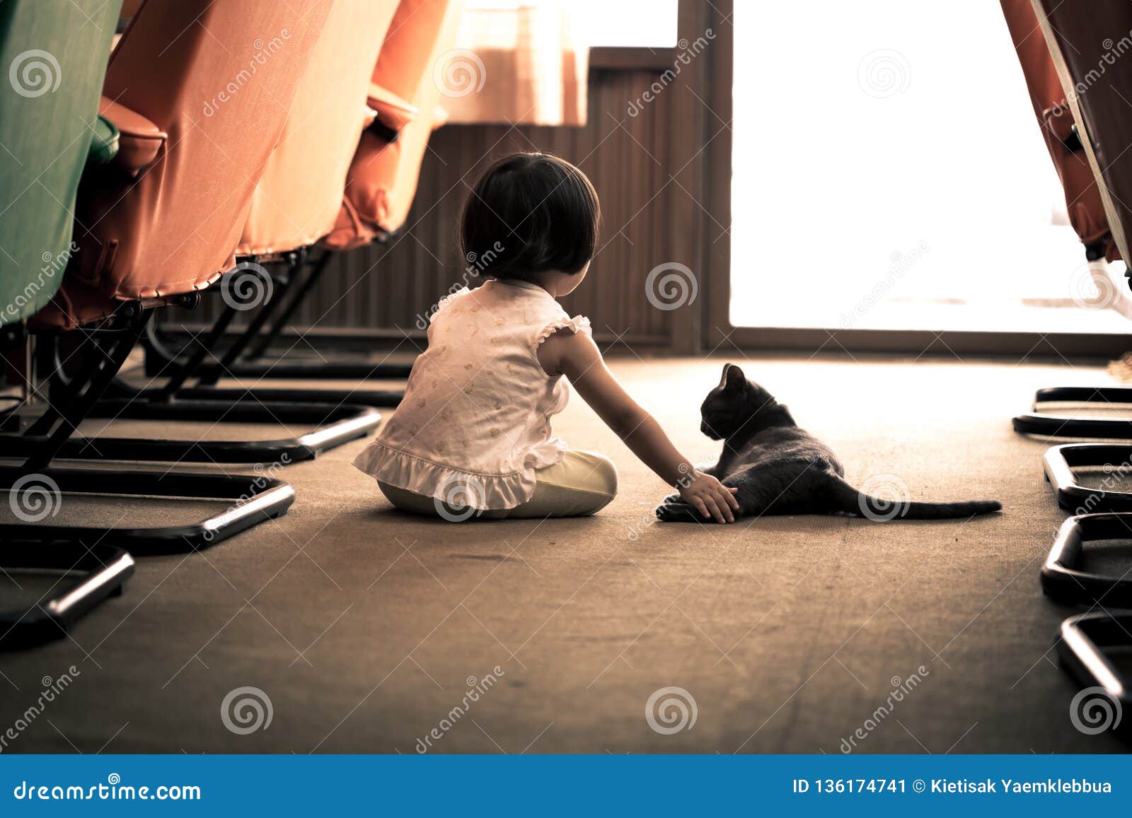 Children touching cat stock image. Image of mammal, floor - 136174741