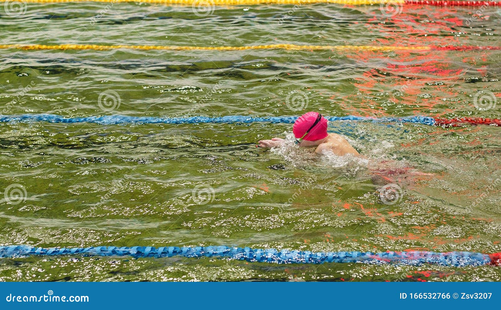 Children Train in the Swimming Pool Stock Photo - Image of playful ...