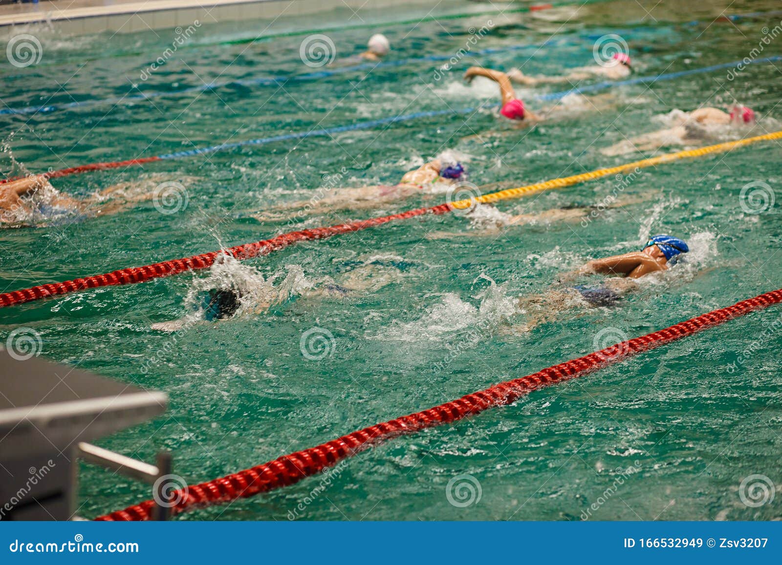 Children Train in the Swimming Pool Stock Image - Image of anonymous ...