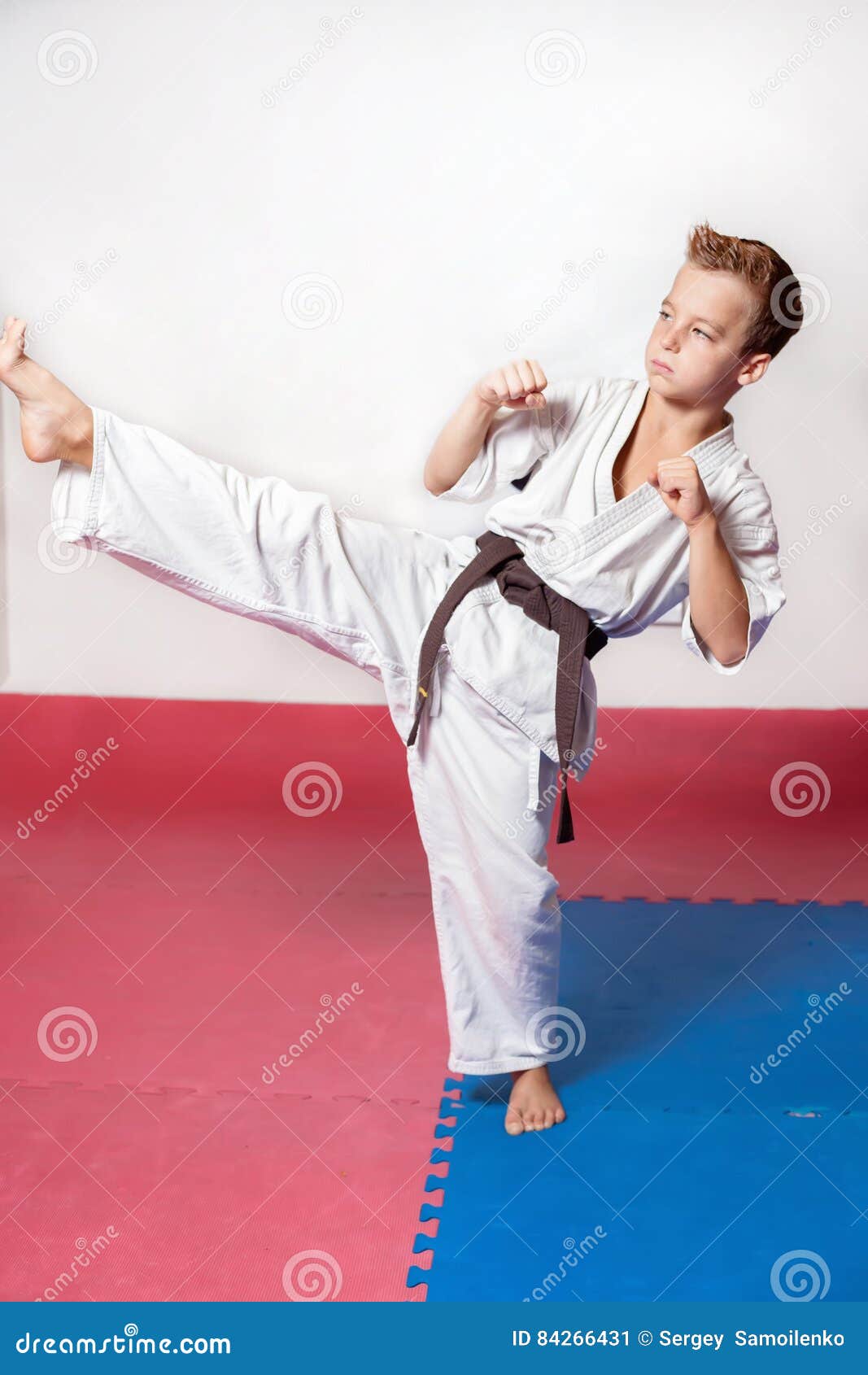 Children during Training in Karate. Fighting Position Stock Image ...