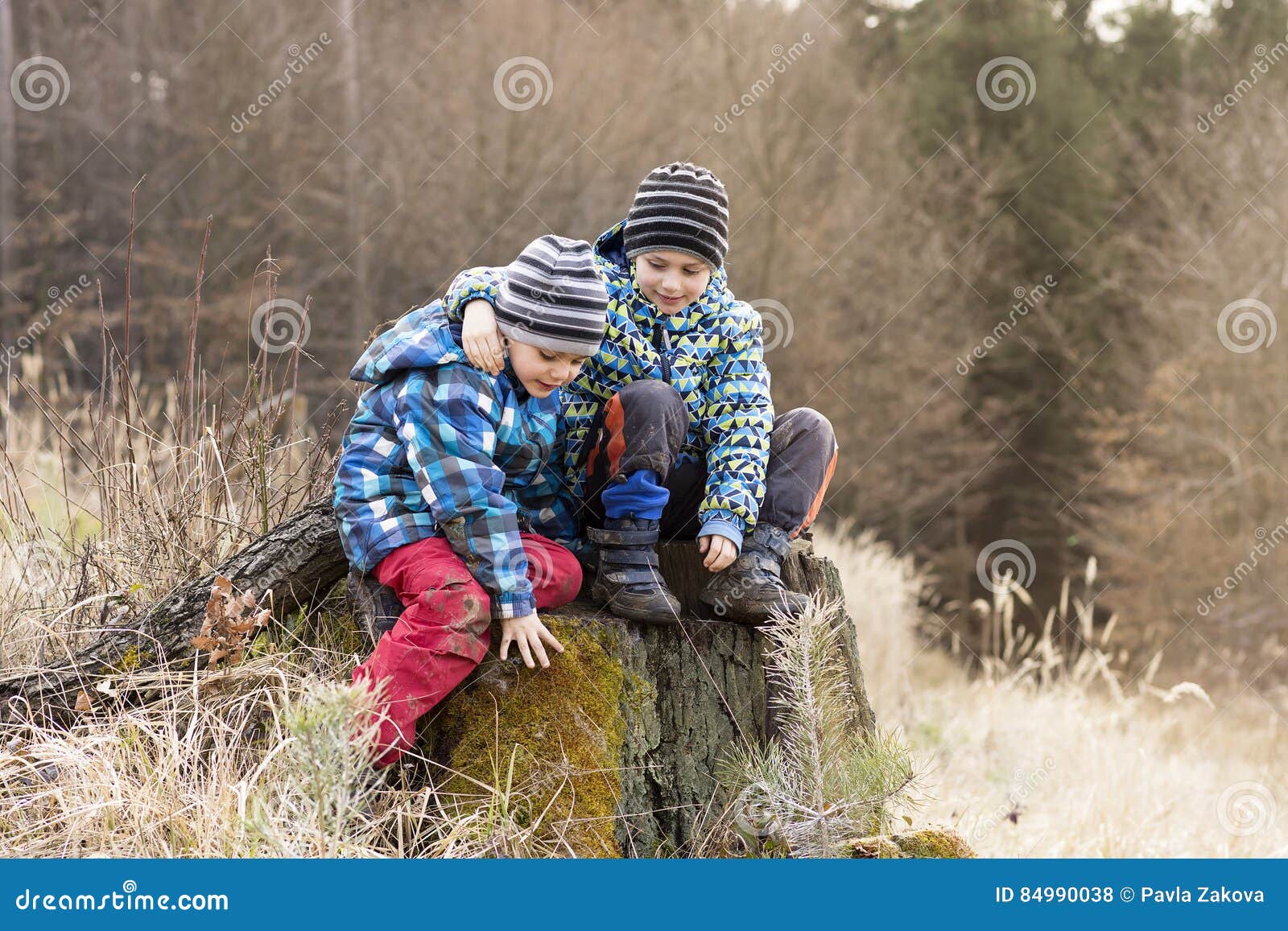 Children on Tree Stump in Nature Stock Photo - Image of friend ...