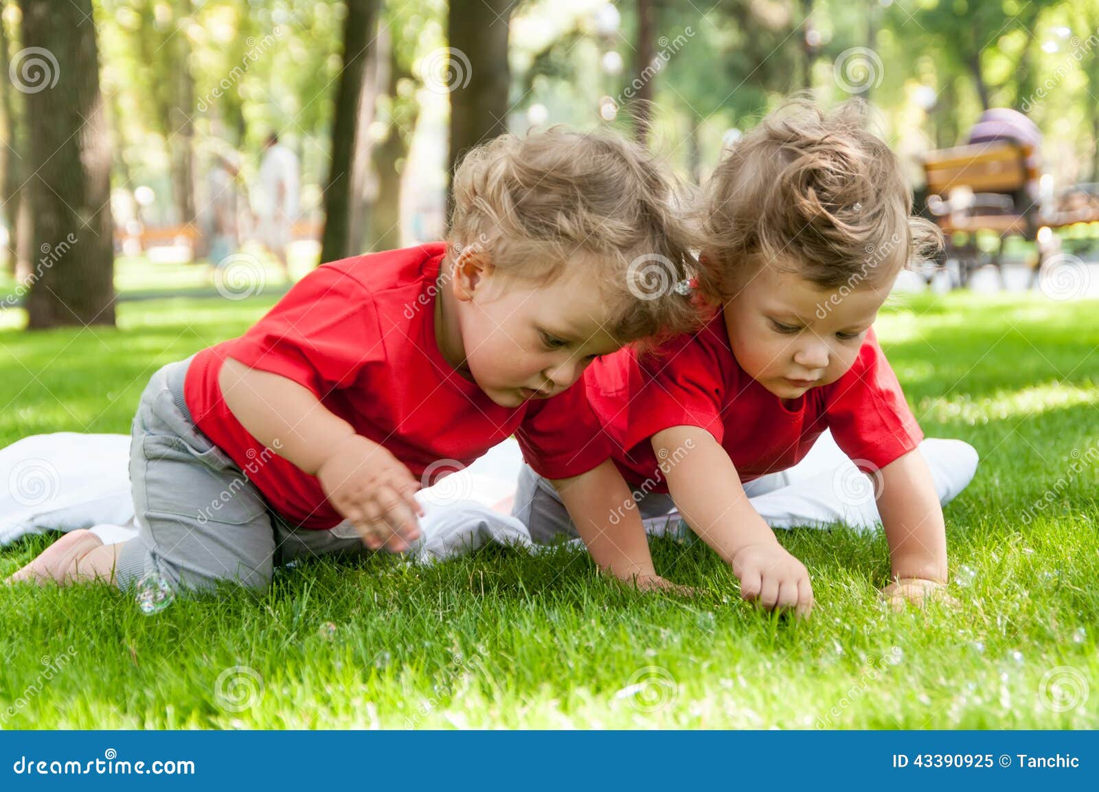 Children Twins Play on the Grass Stock Image - Image of healthy, cute ...
