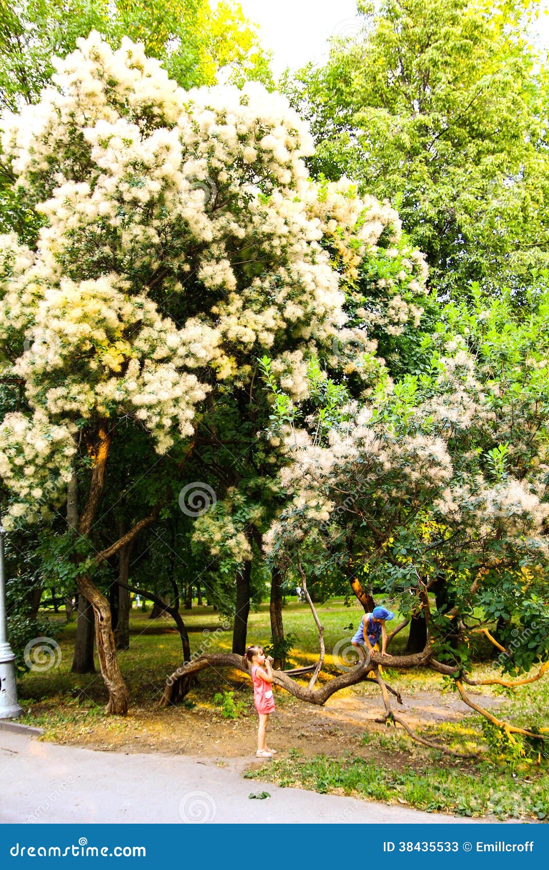 Children under a tree stock image. Image of meadow, redhead - 38435533
