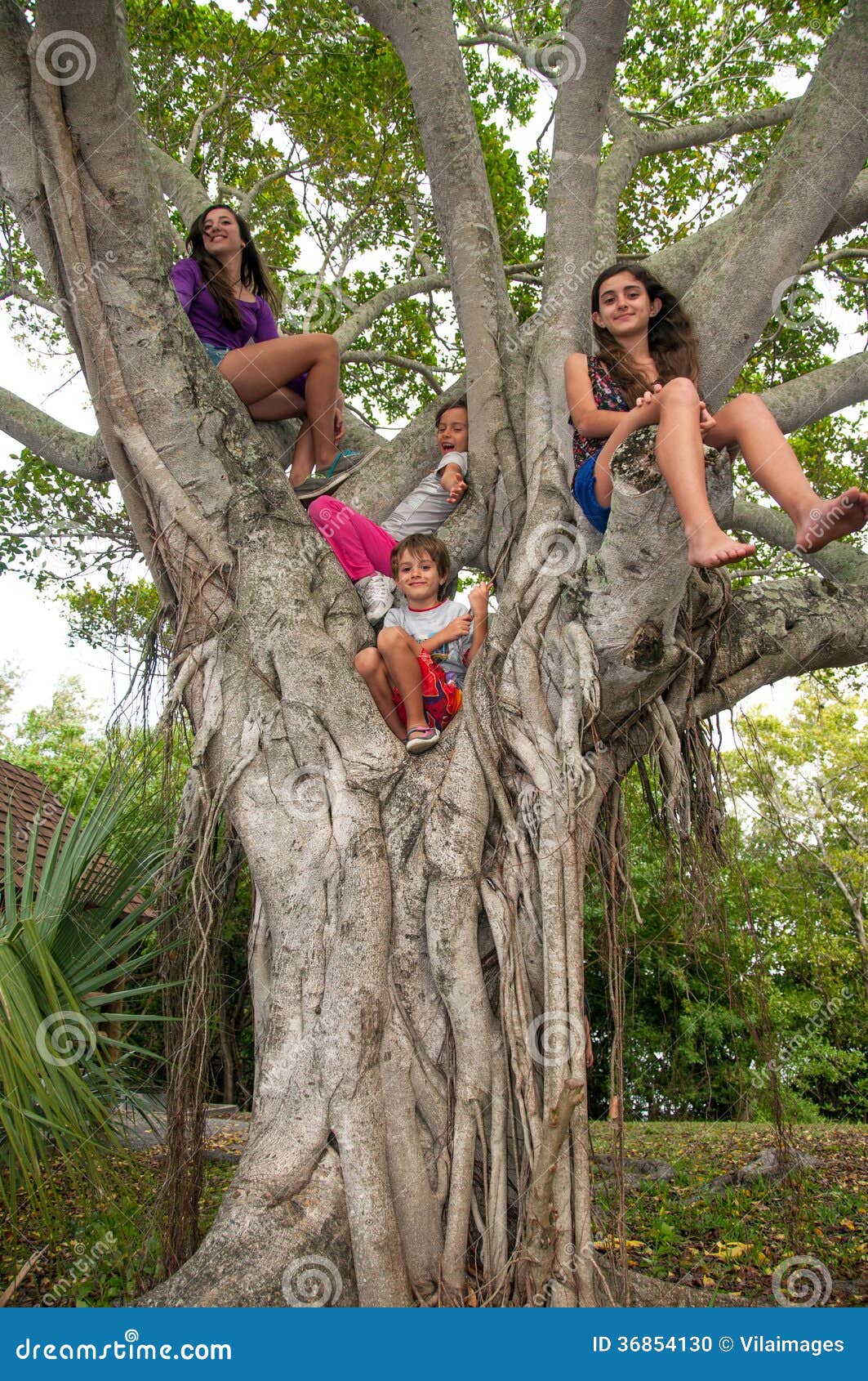 Children up on a tree stock photo. Image of blond, beautiful - 36854130
