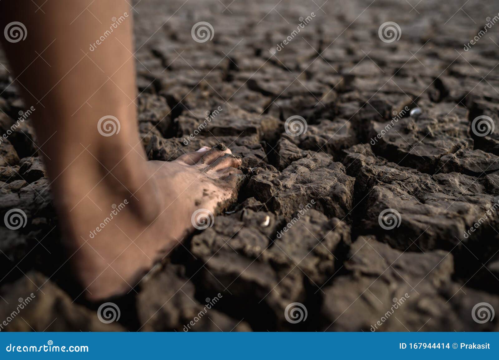 Children are Walking Barefoot on Mud,selective Focus Stock Photo ...