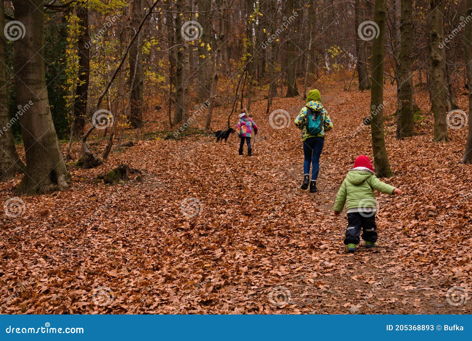 Children Walking in the Forest Stock Image - Image of coat, jacket ...