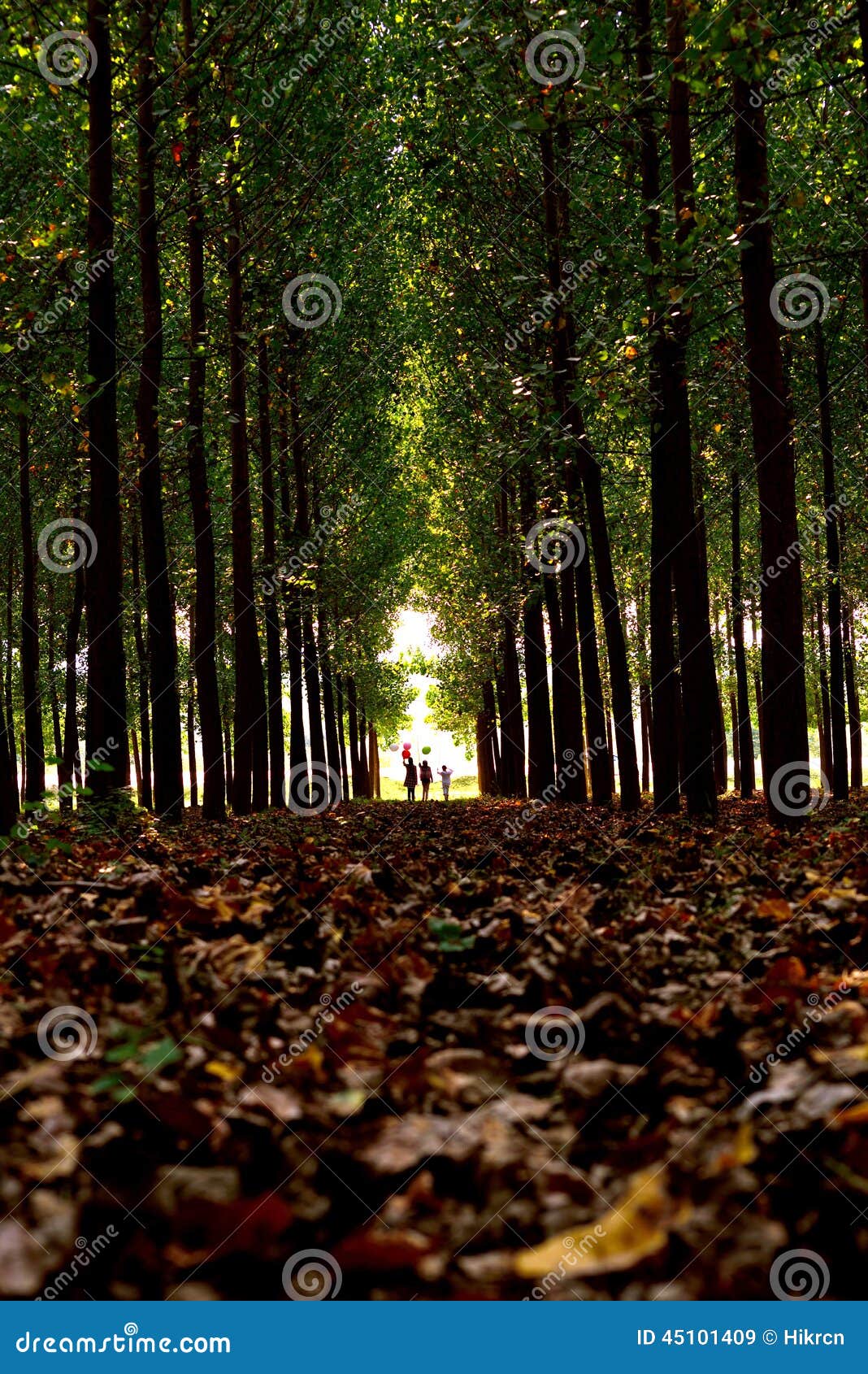 Children Walking among the Trees Stock Image - Image of girl, tree ...