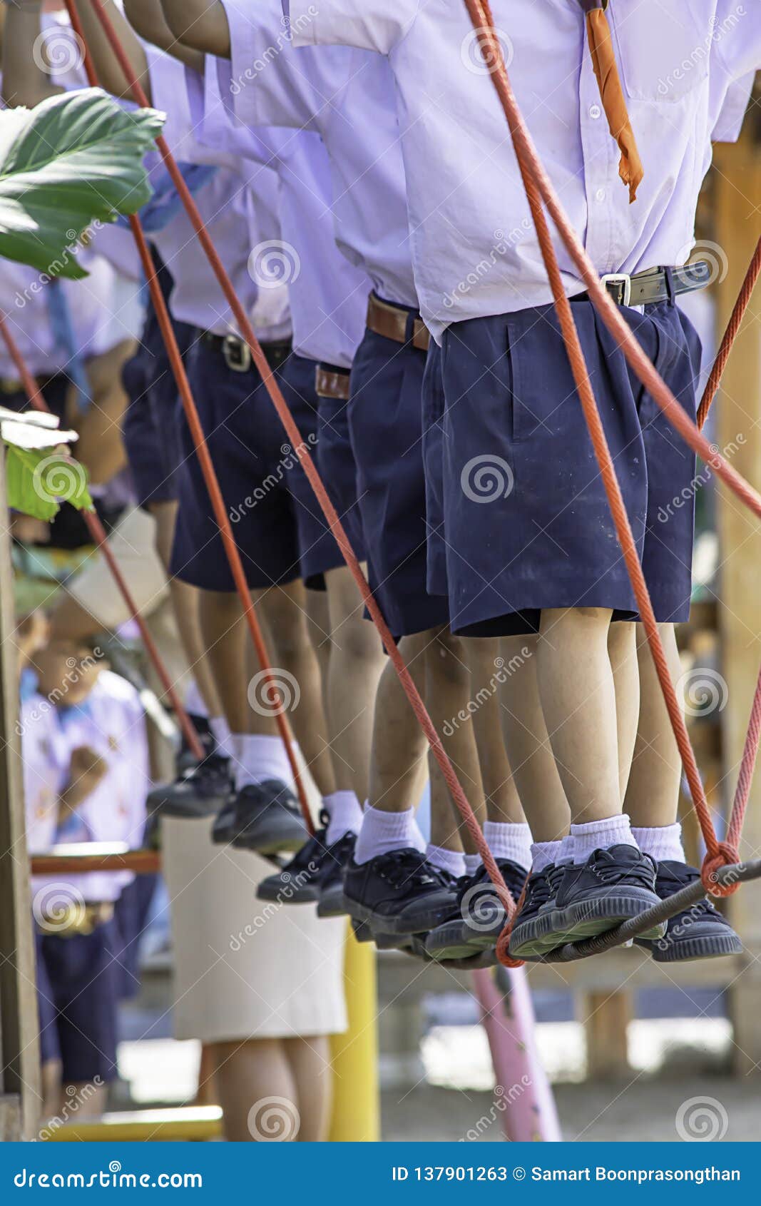 Children Walking on the Wire Rope are Doing the Activity Stock Image ...