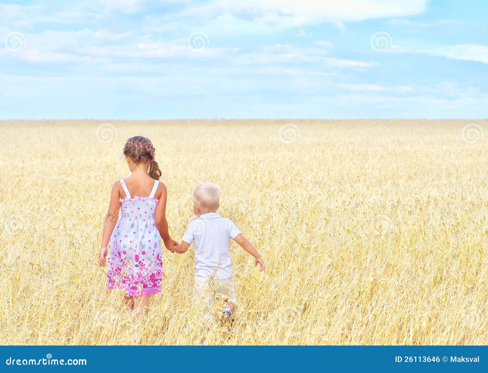 Children in wheat field stock photo. Image of golden - 26113646