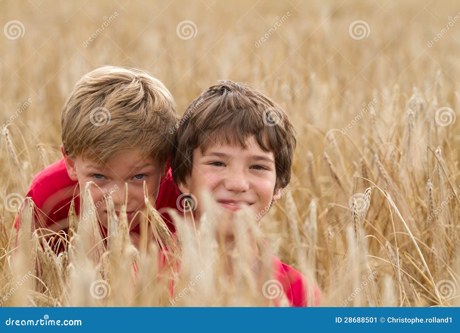 Children in a wheat field stock image. Image of long - 28688501