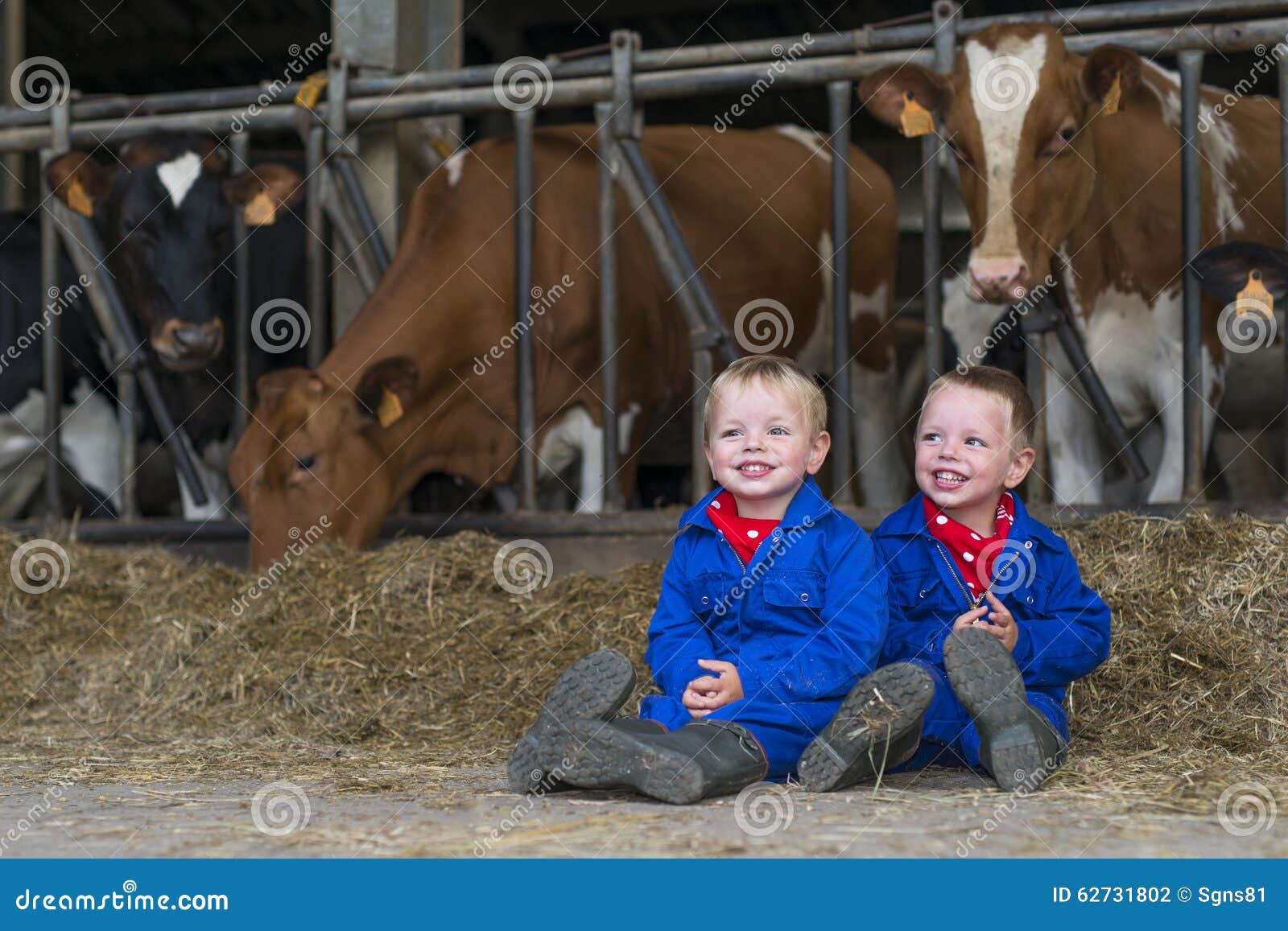 Children work on the farm stock photo. Image of twin - 62731802