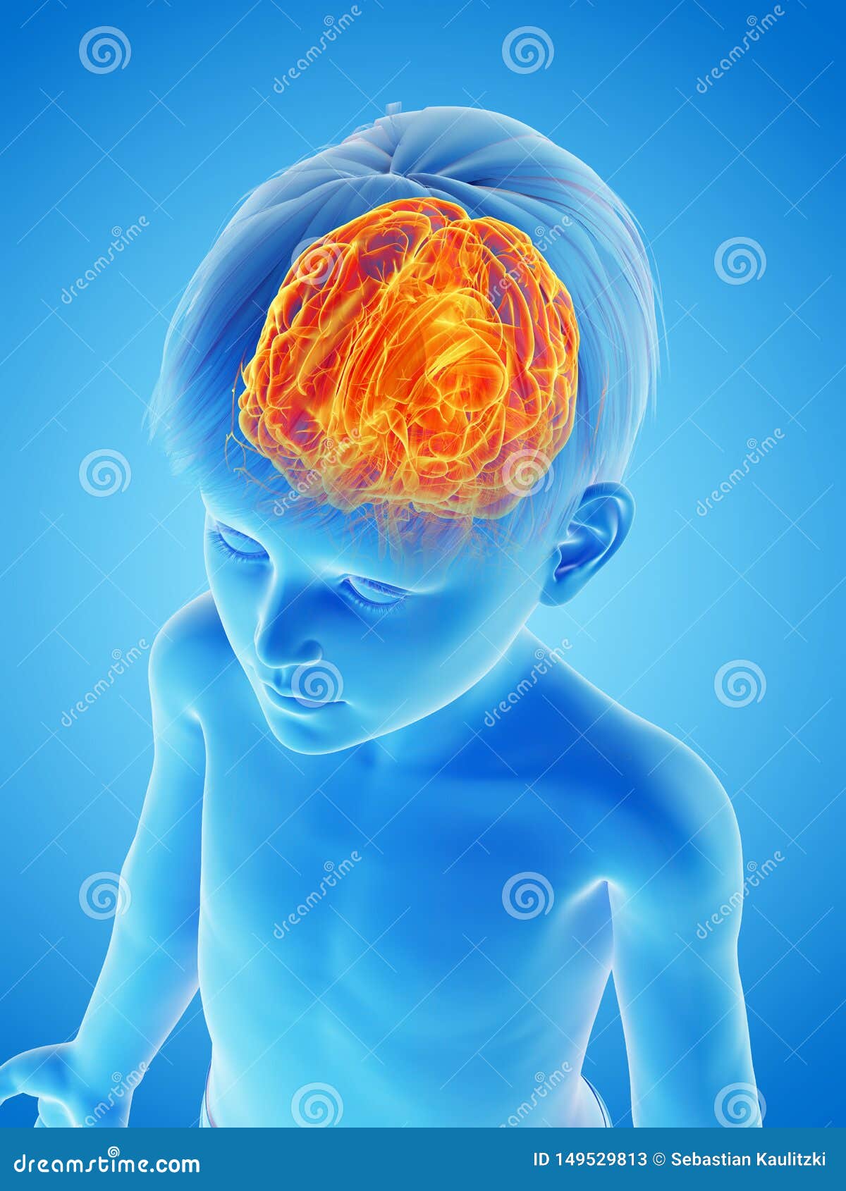 A childs brain stock illustration. Illustration of artwork - 149529813