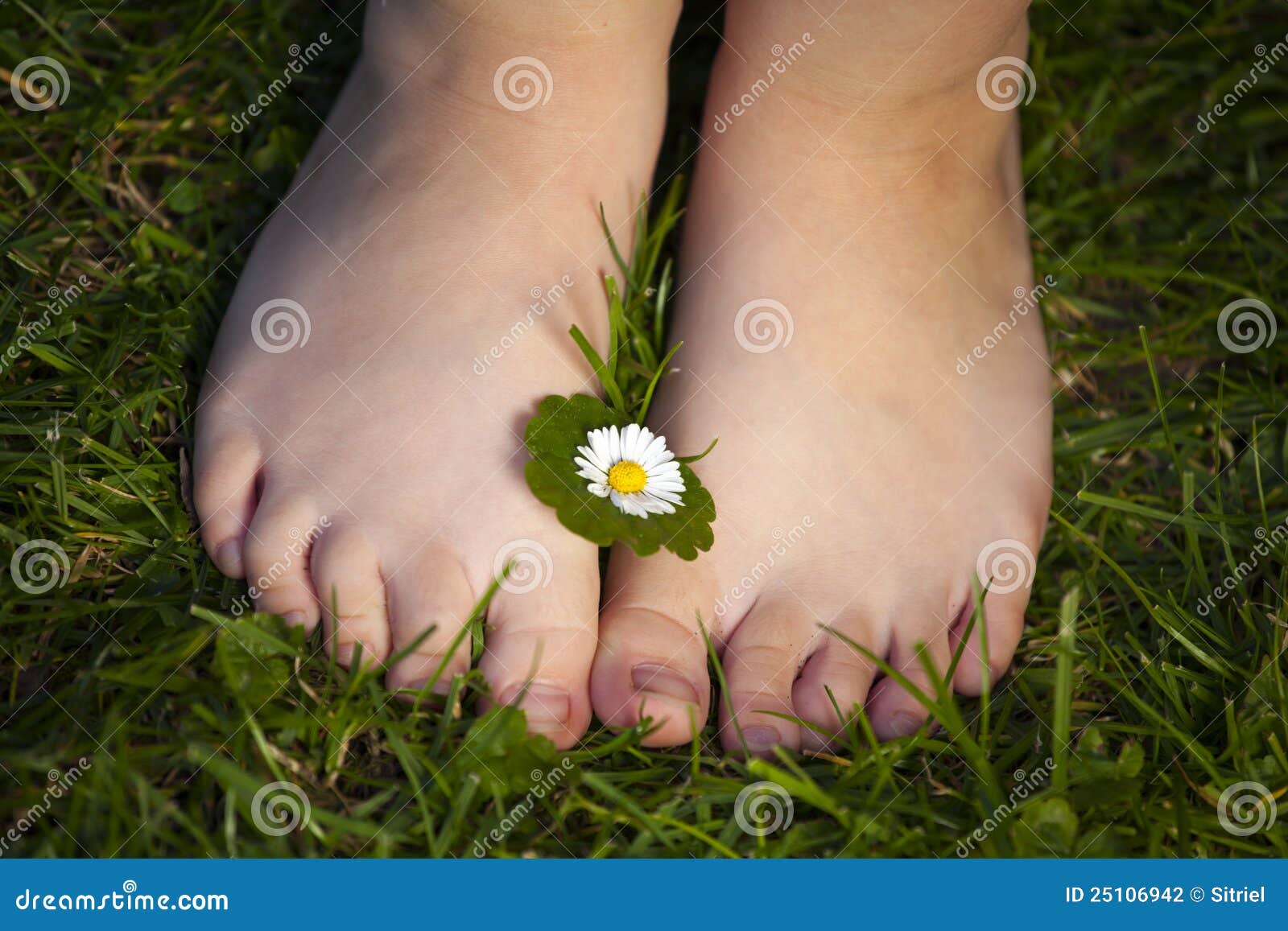 Childs feet with flower stock photo. Image of flower - 25106942