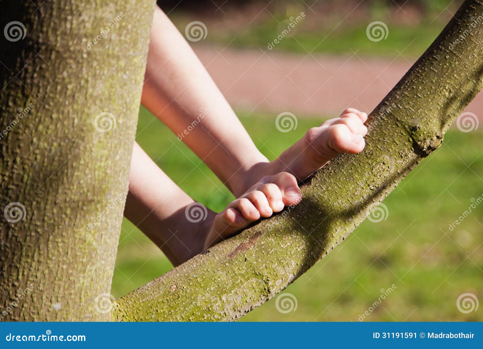 Childs feet on a tree stock image. Image of feet, nature - 31191591