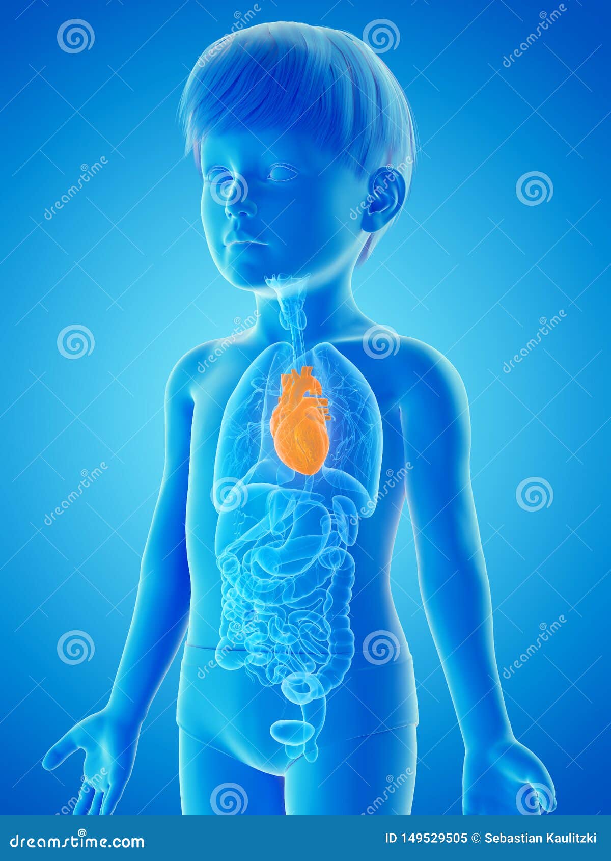 Childs Heart Stock Illustrations – 415 Childs Heart Stock Illustrations ...