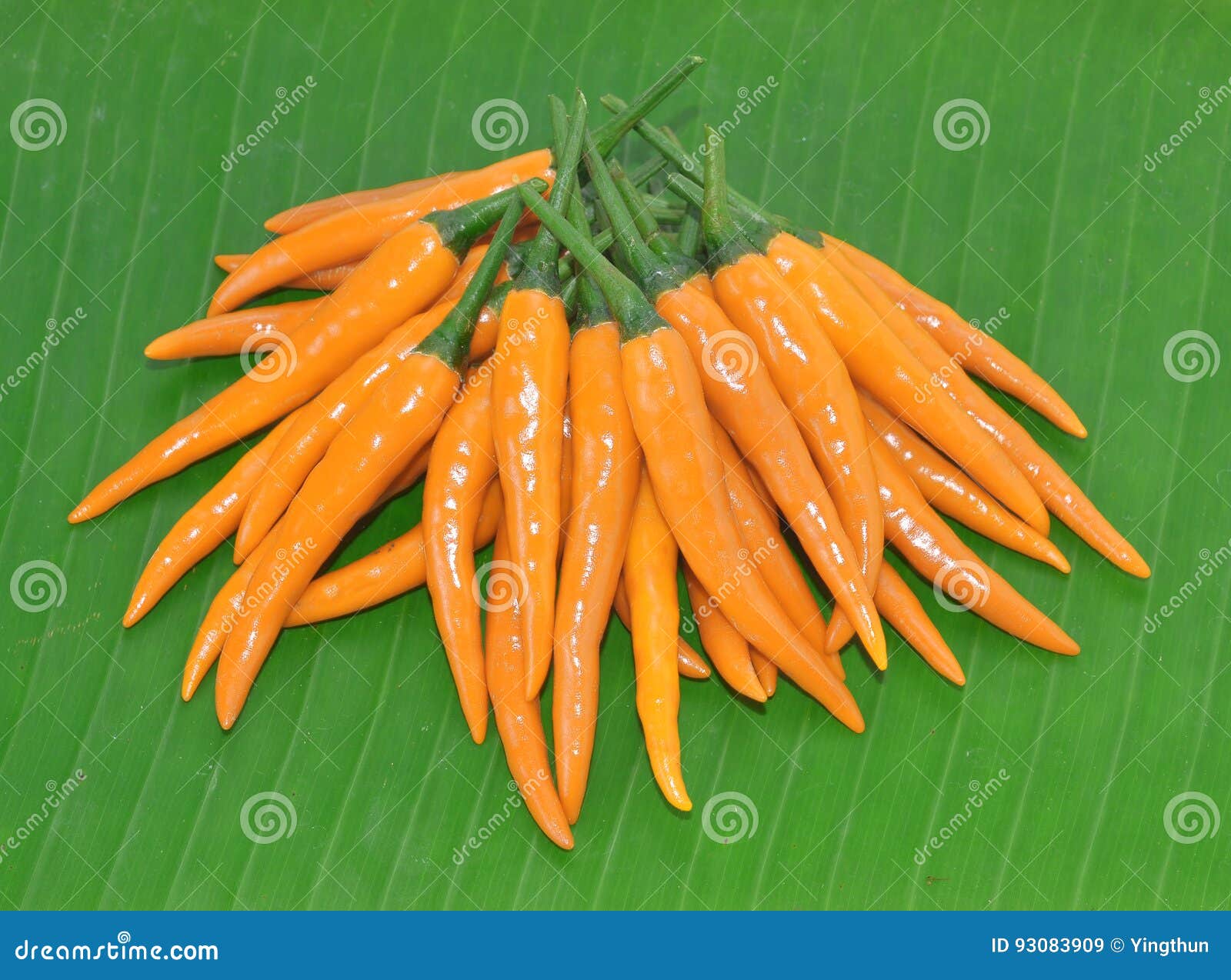 Chile Amarillo Peruano En La Hoja Imagen de archivo - Imagen de verde ...