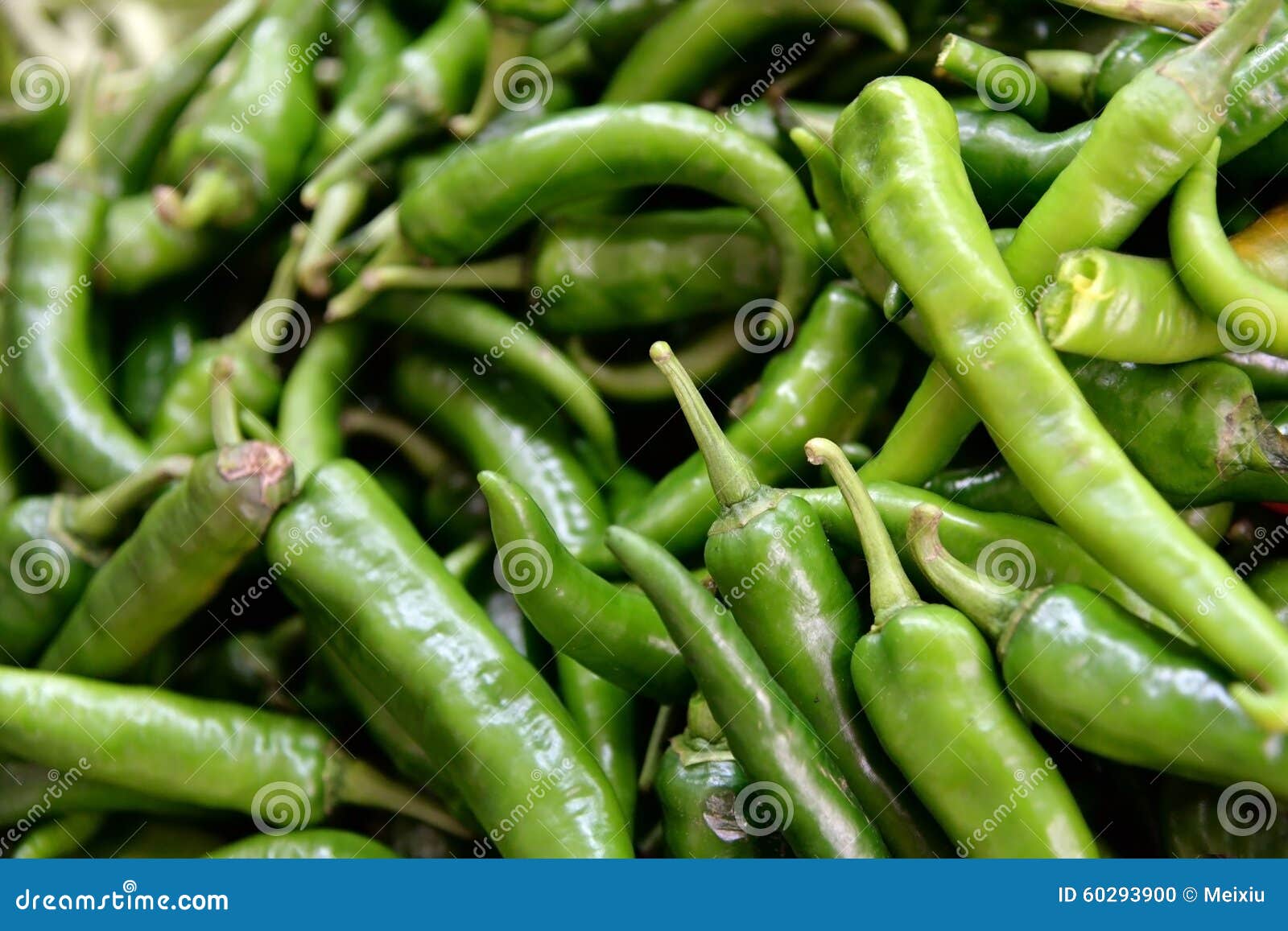 Chile Peppers stock photo. Image of plenty, hatch, pepper - 60293900