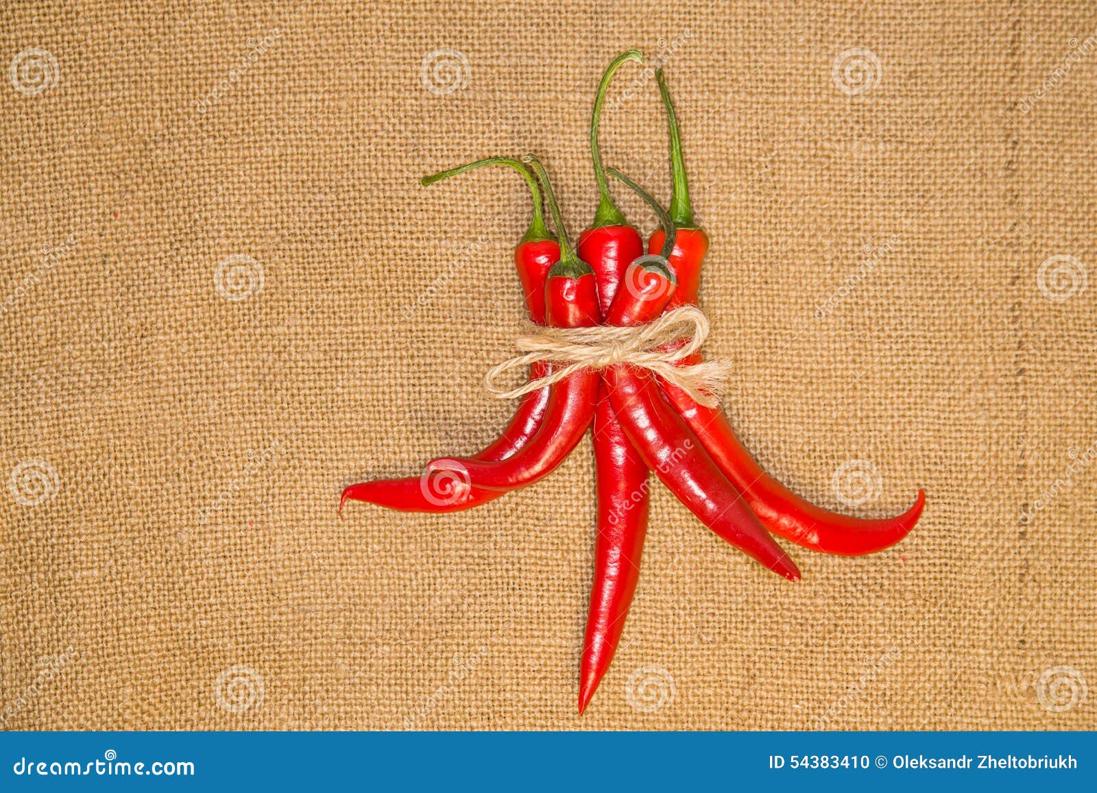 Chile Peppers Tied with a Rope on Old Cloth Stock Photo - Image of ...