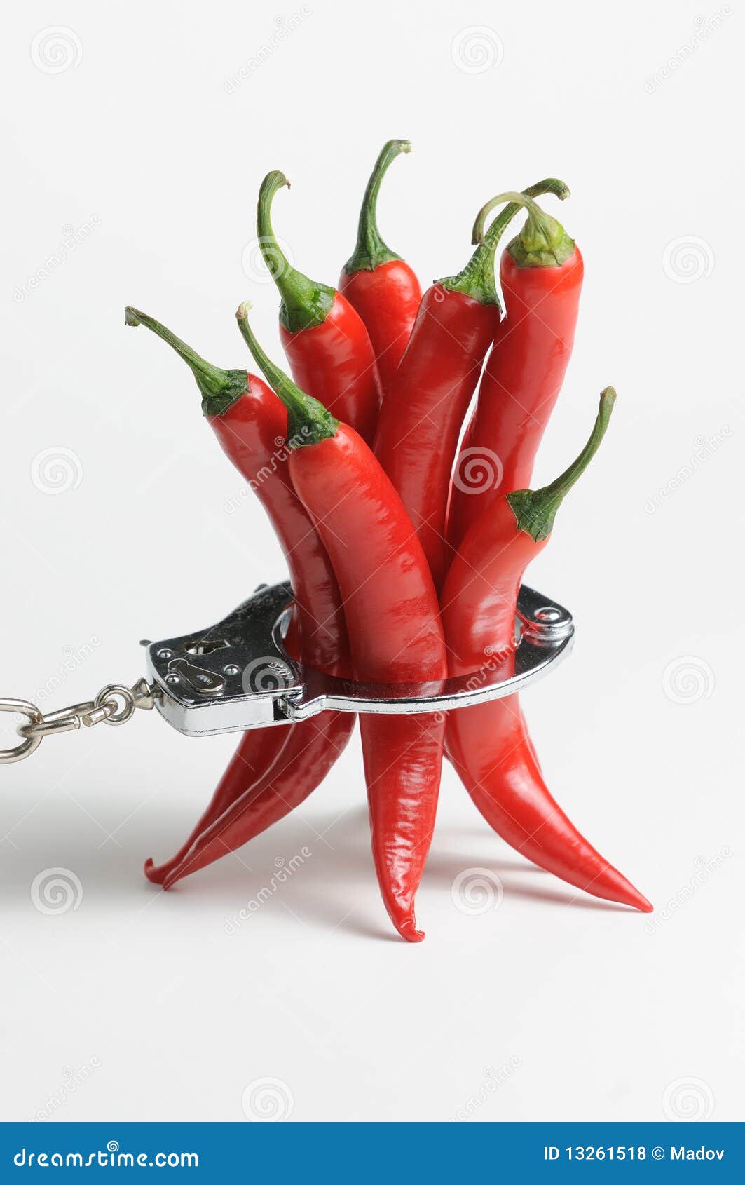 Chile reventado foto de archivo. Imagen de india, alimento - 13261518