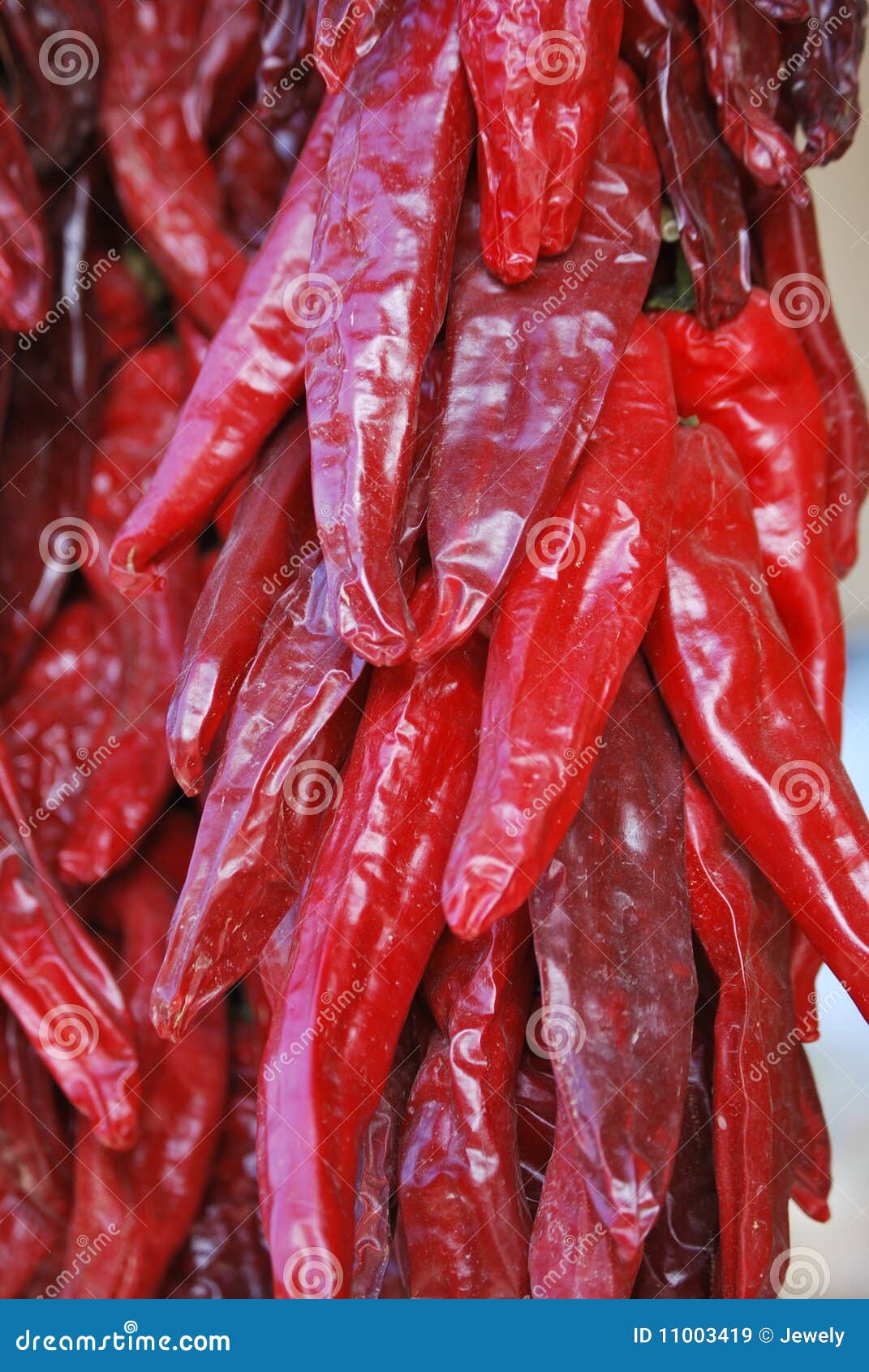 Chile ristra stock image. Image of chile, crop, farm - 11003419