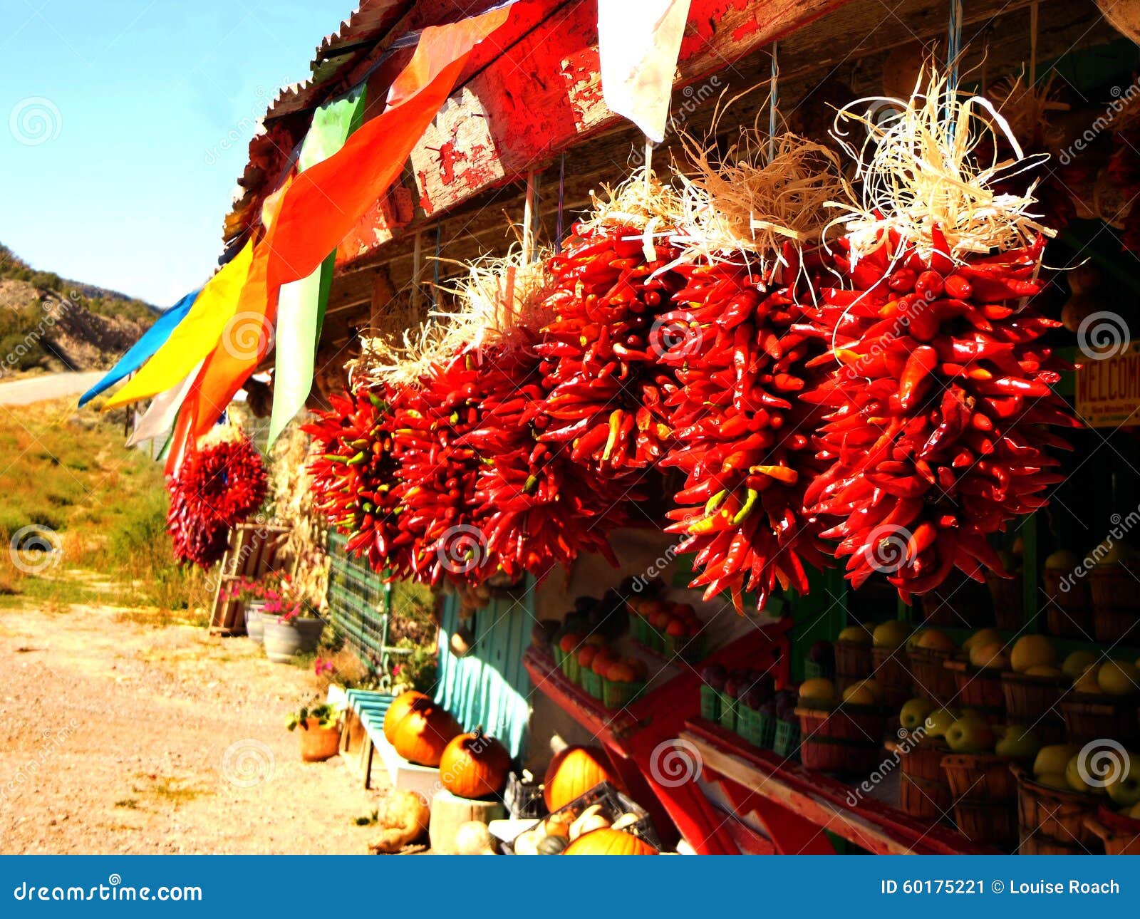 Chile Ristras en otoño imagen de archivo. Imagen de granja - 60175221